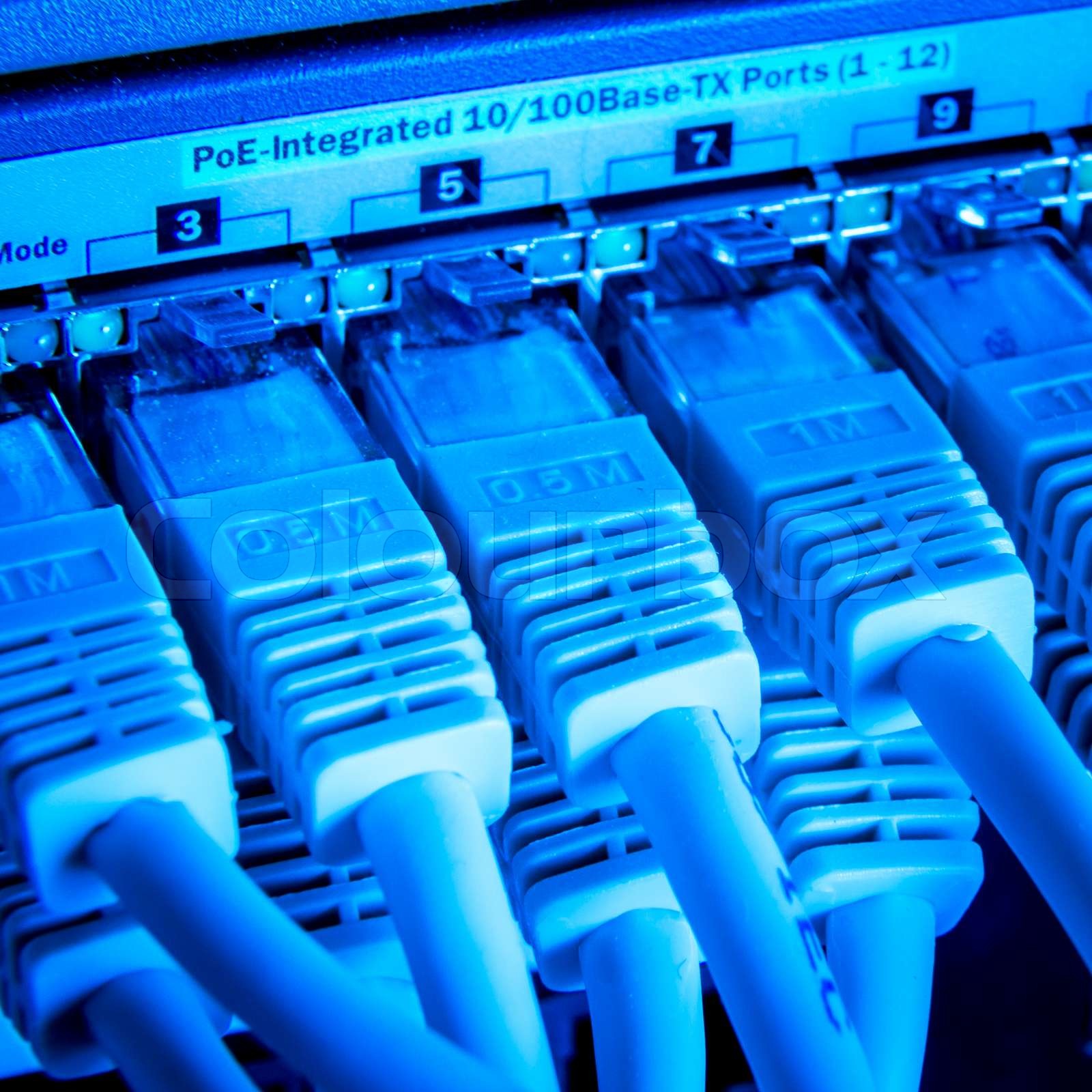 network cables | Stock image | Colourbox