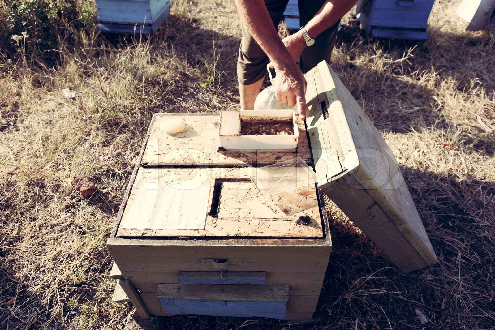 Beekeeper | Stock image | Colourbox
