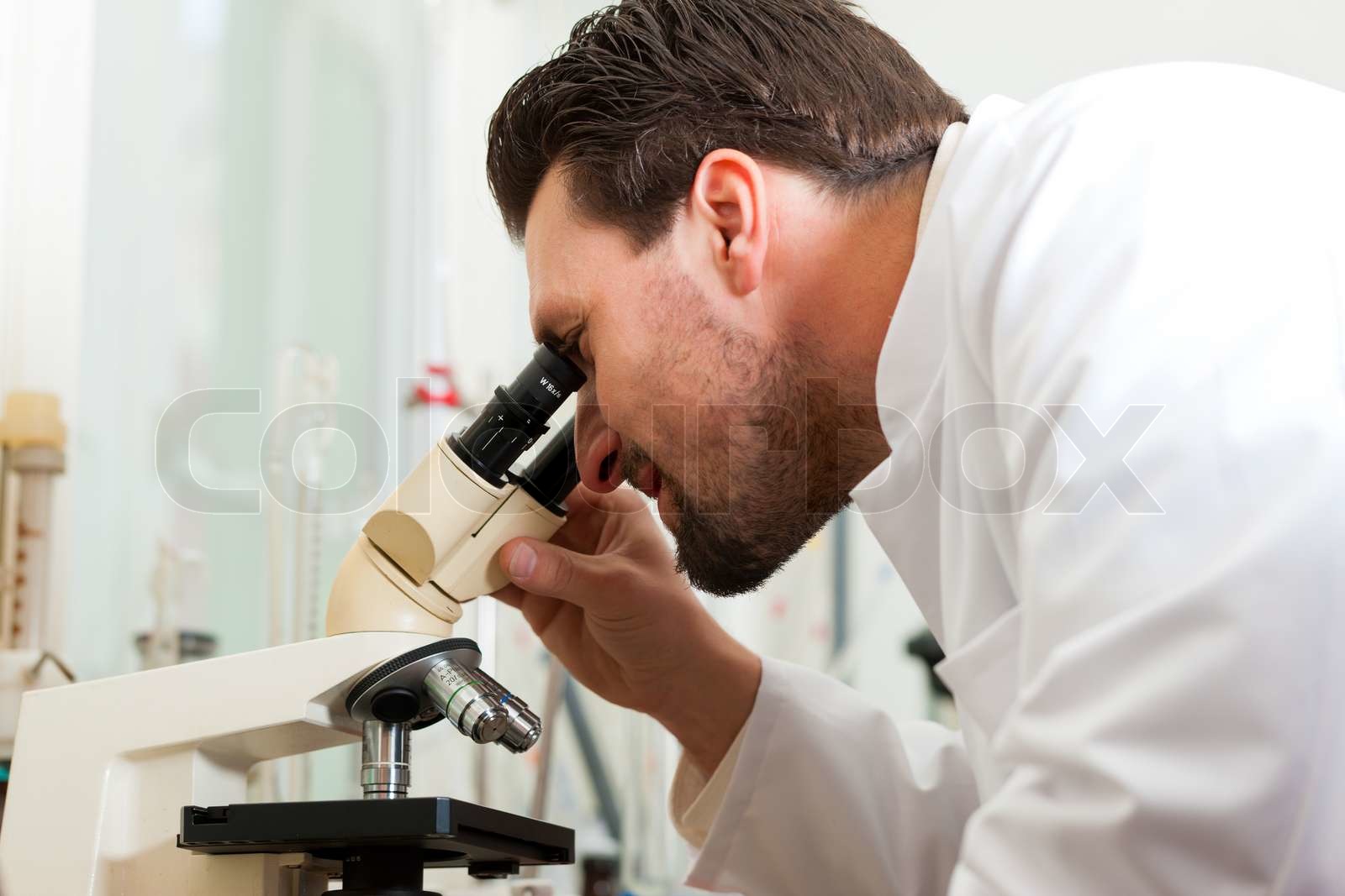 Beer Brewer in food laboratory examining | Stock image | Colourbox