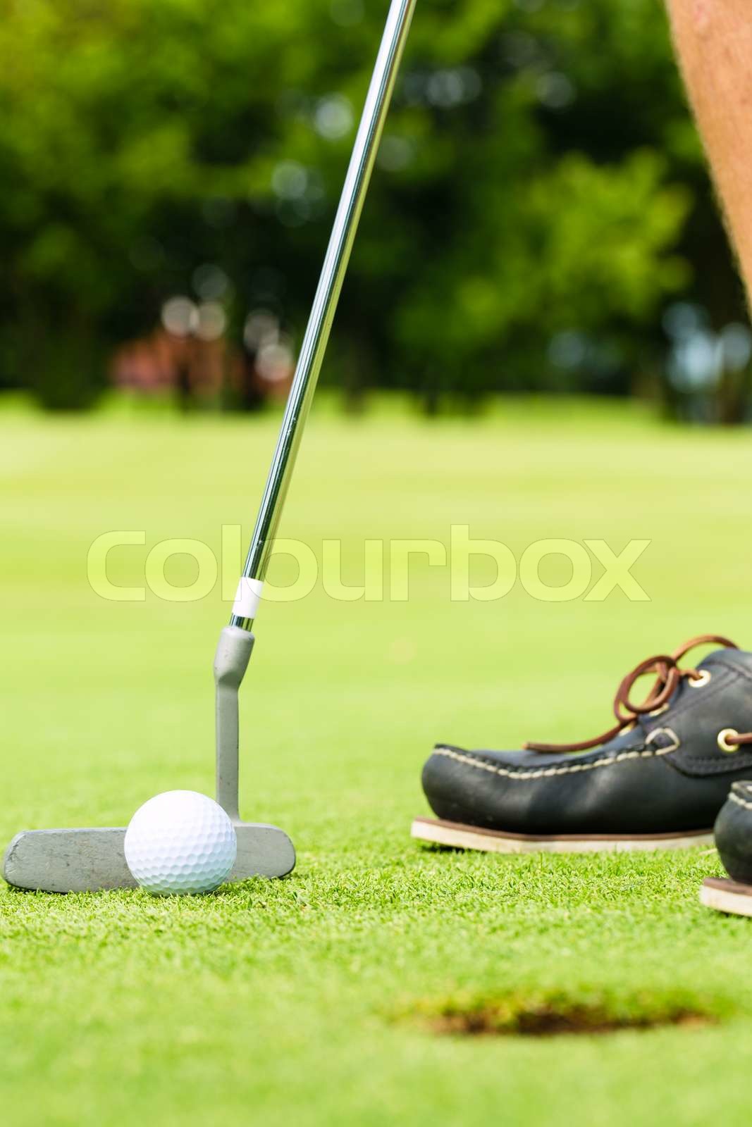Golf player putting ball in hole | Stock image | Colourbox