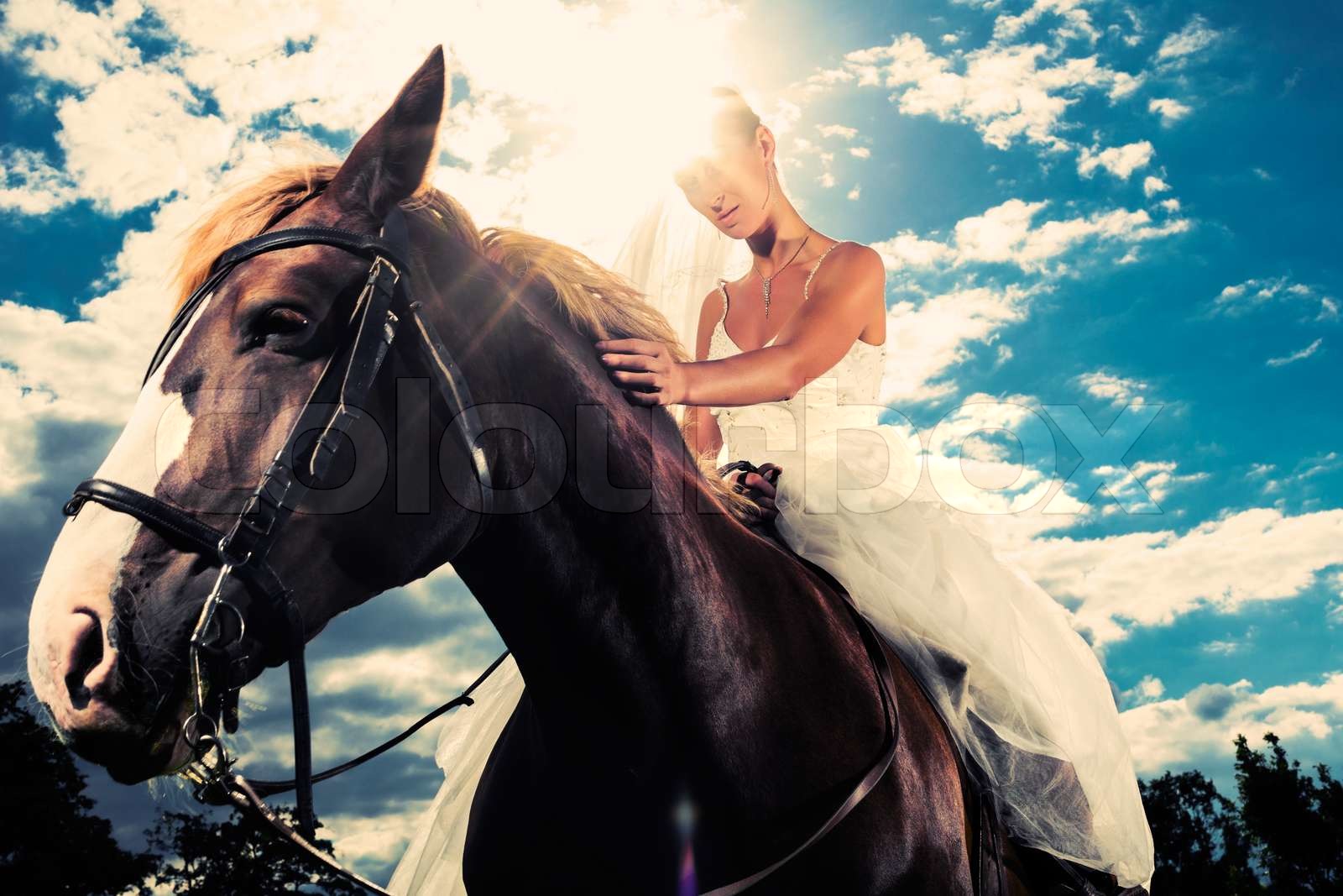 Bride in wedding dress riding a horse, backlit | Stock image | Colourbox