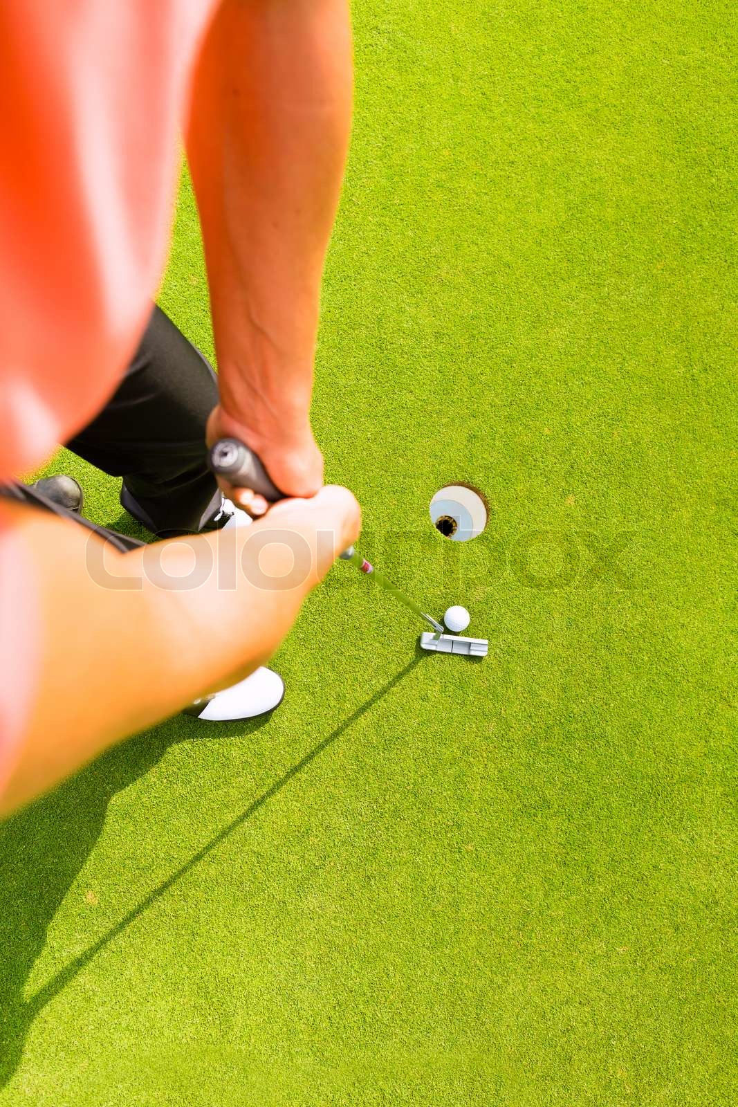 Golf player putting ball in hole | Stock image | Colourbox