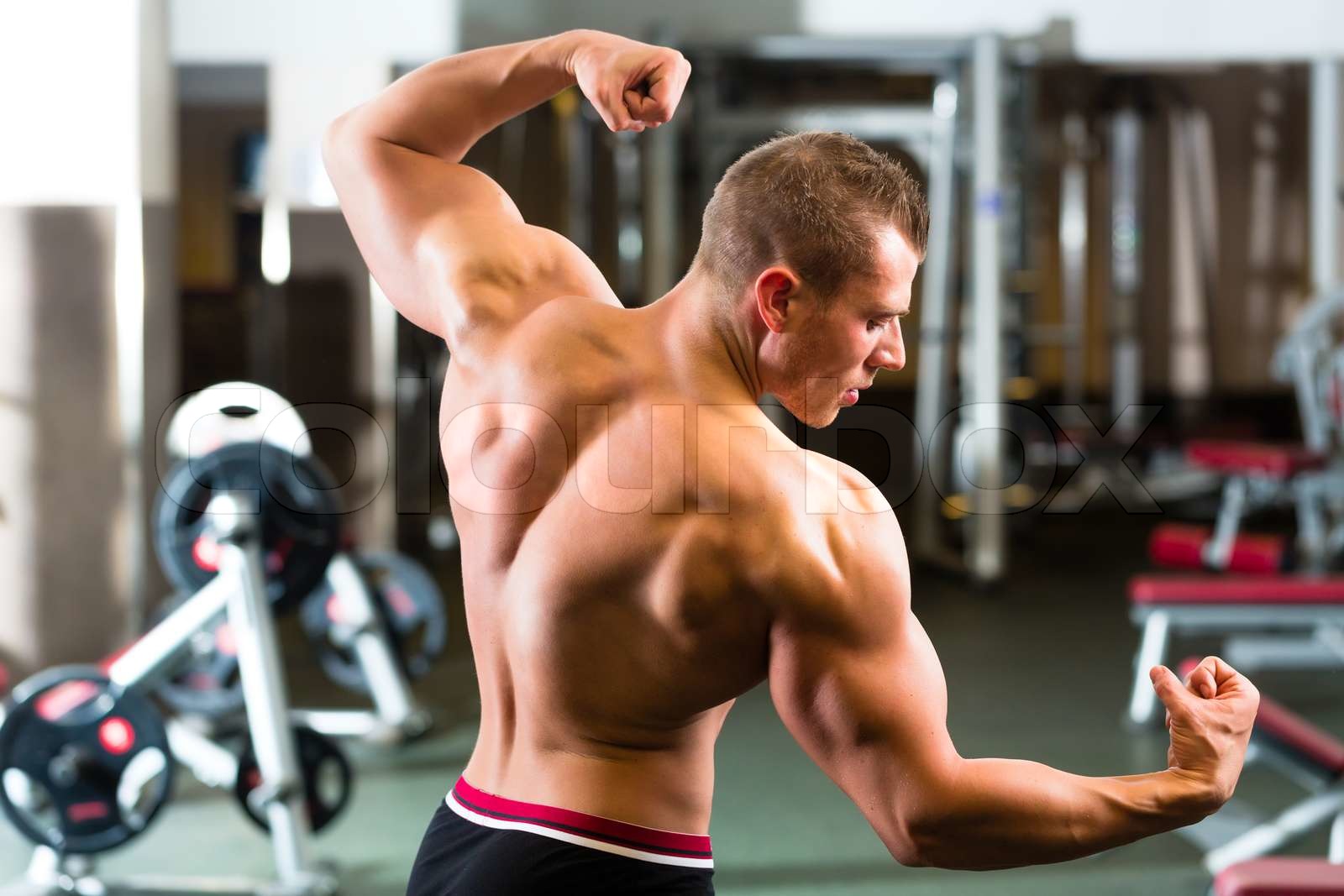 Bodybuilder posing in Gym | Stock image | Colourbox