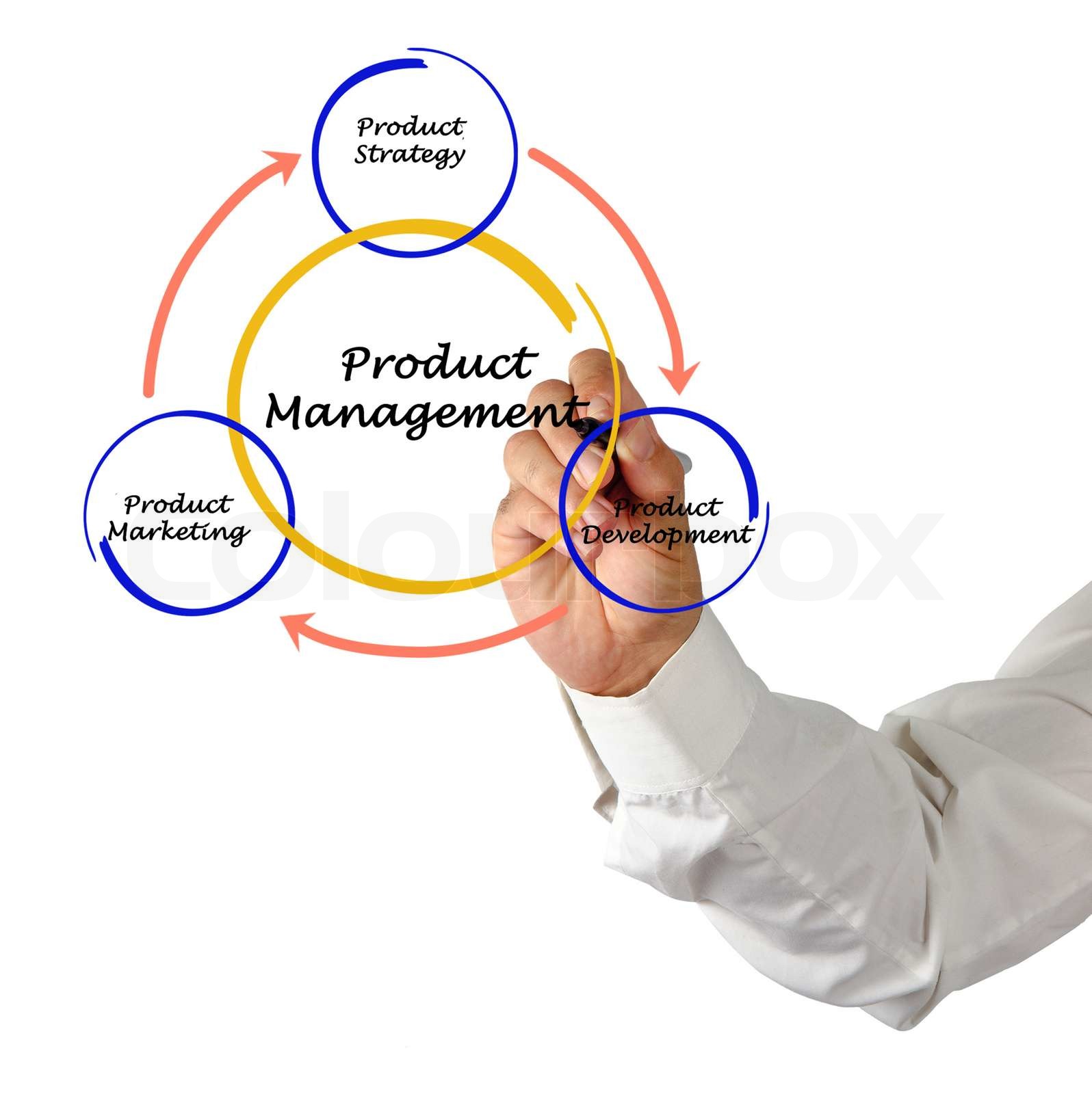 Product management | Stock image | Colourbox