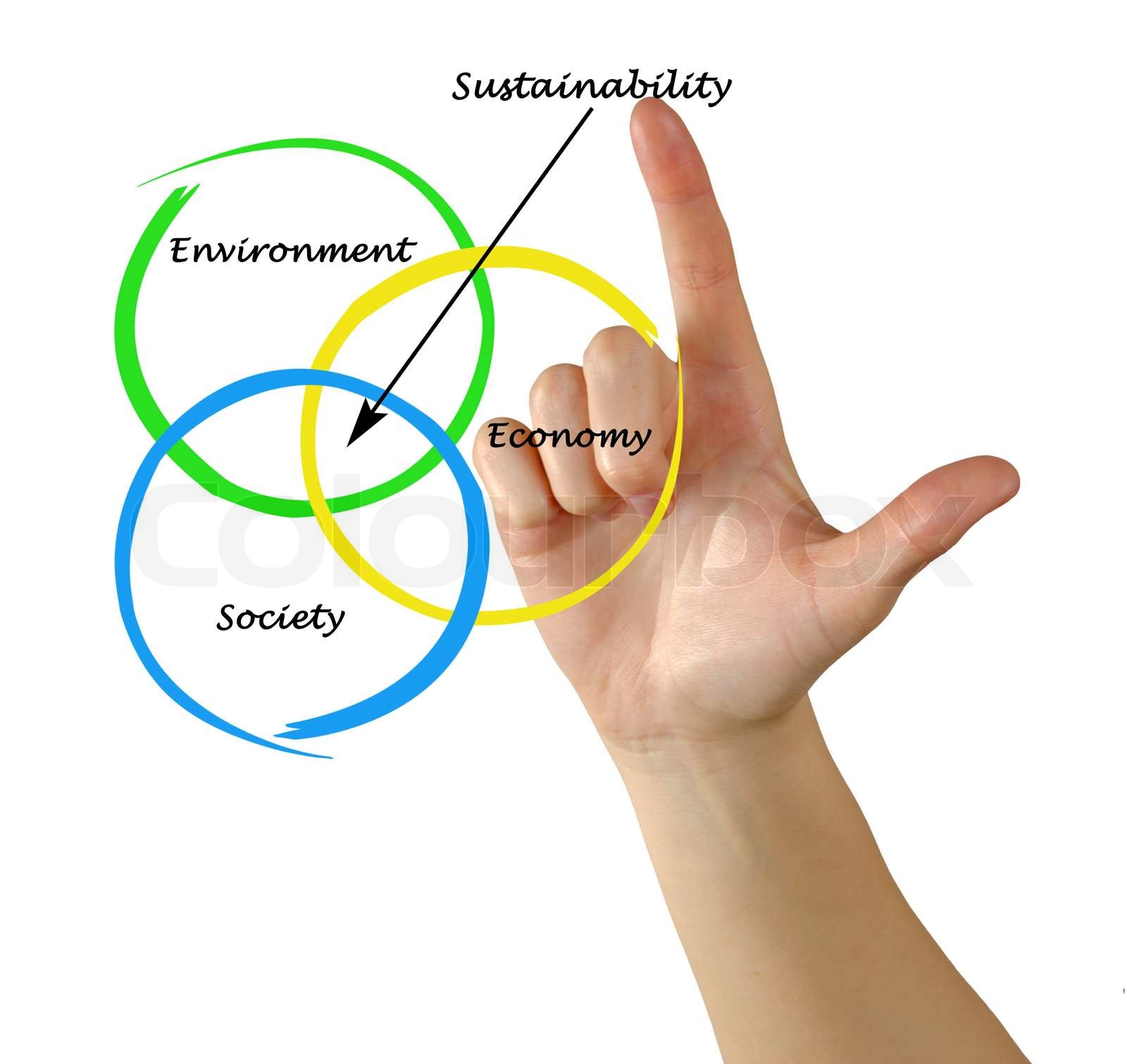 Presentation of diagram of sustainability | Stock image | Colourbox