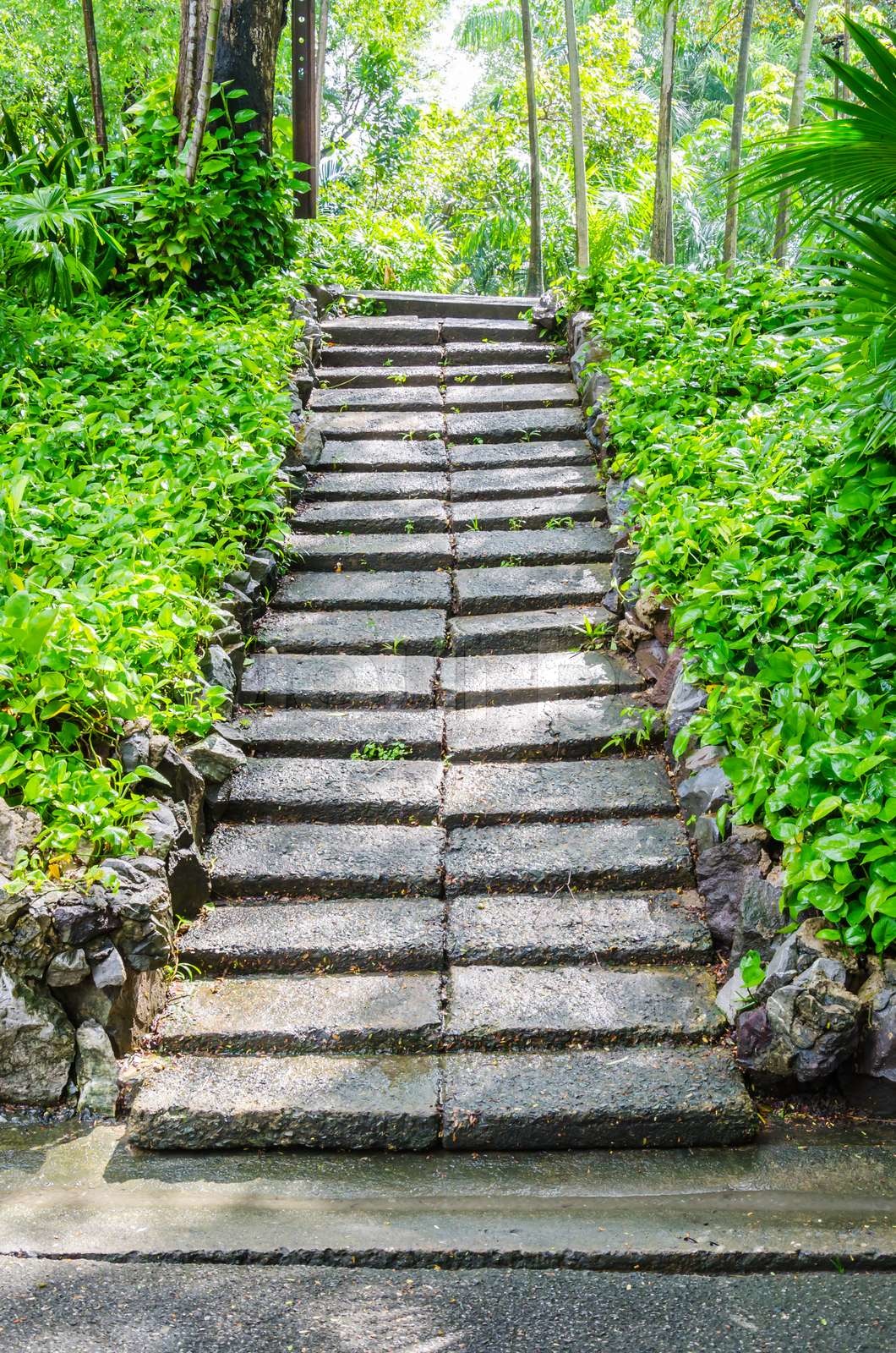 Footpath | Stock image | Colourbox