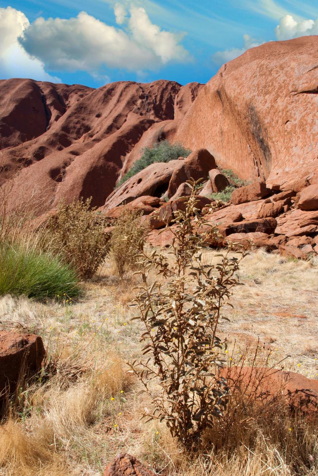 Sky Colors over Australian Outback | Stock image | Colourbox