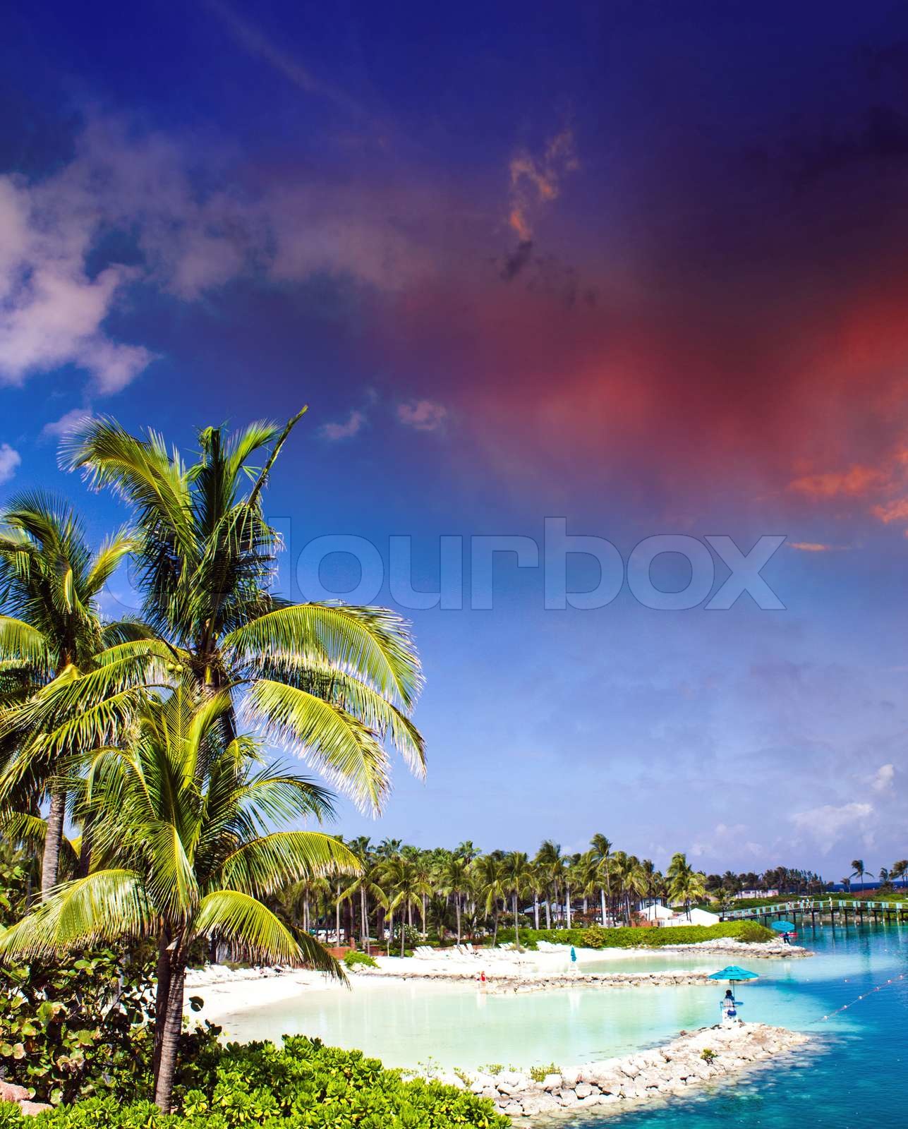 Cloudy Sky above Nassau Vegetation, Bahamas | Stock image | Colourbox
