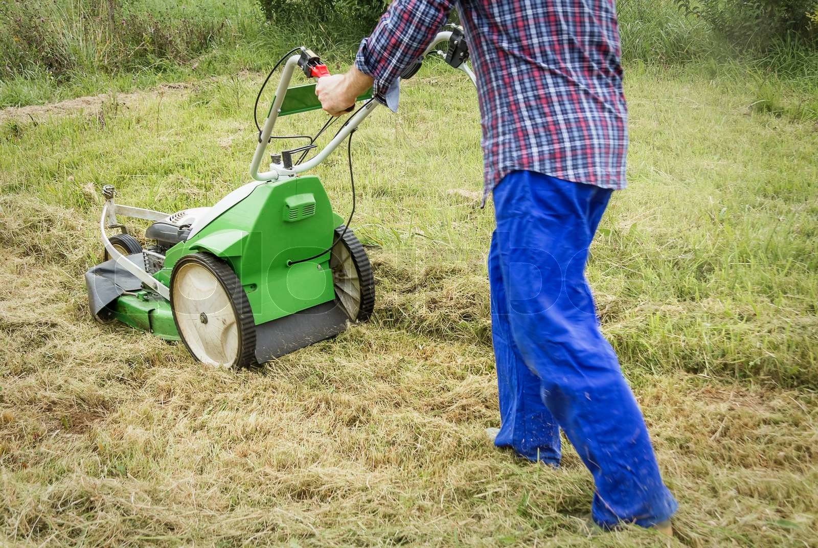 Young man mowing the lawn with a lawnmower | Stock image | Colourbox