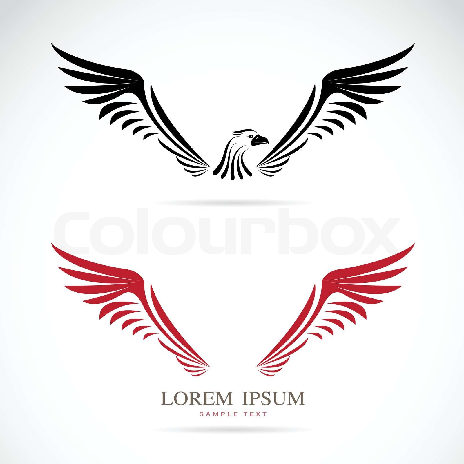 Vector image of an eagle | Stock vector | Colourbox