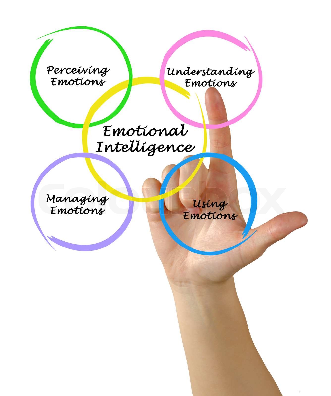 Diagram of emotional intelligence | Stock image | Colourbox
