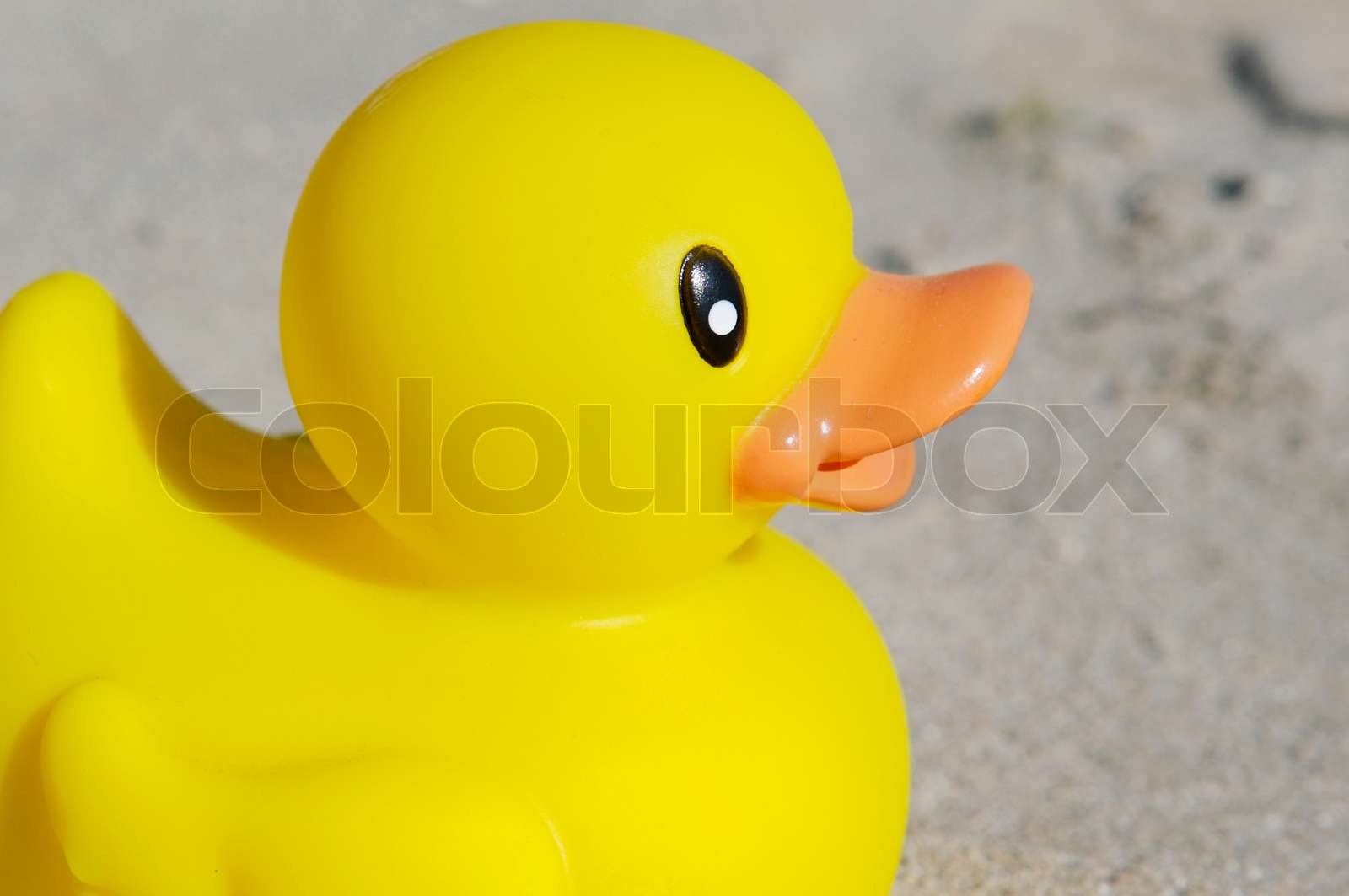 Yellow toy duck | Stock image | Colourbox
