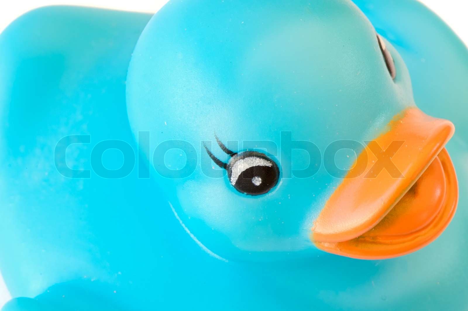 Blue plastic duck | Stock image | Colourbox
