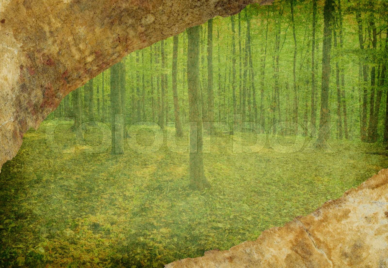 vintage forest | Stock image | Colourbox
