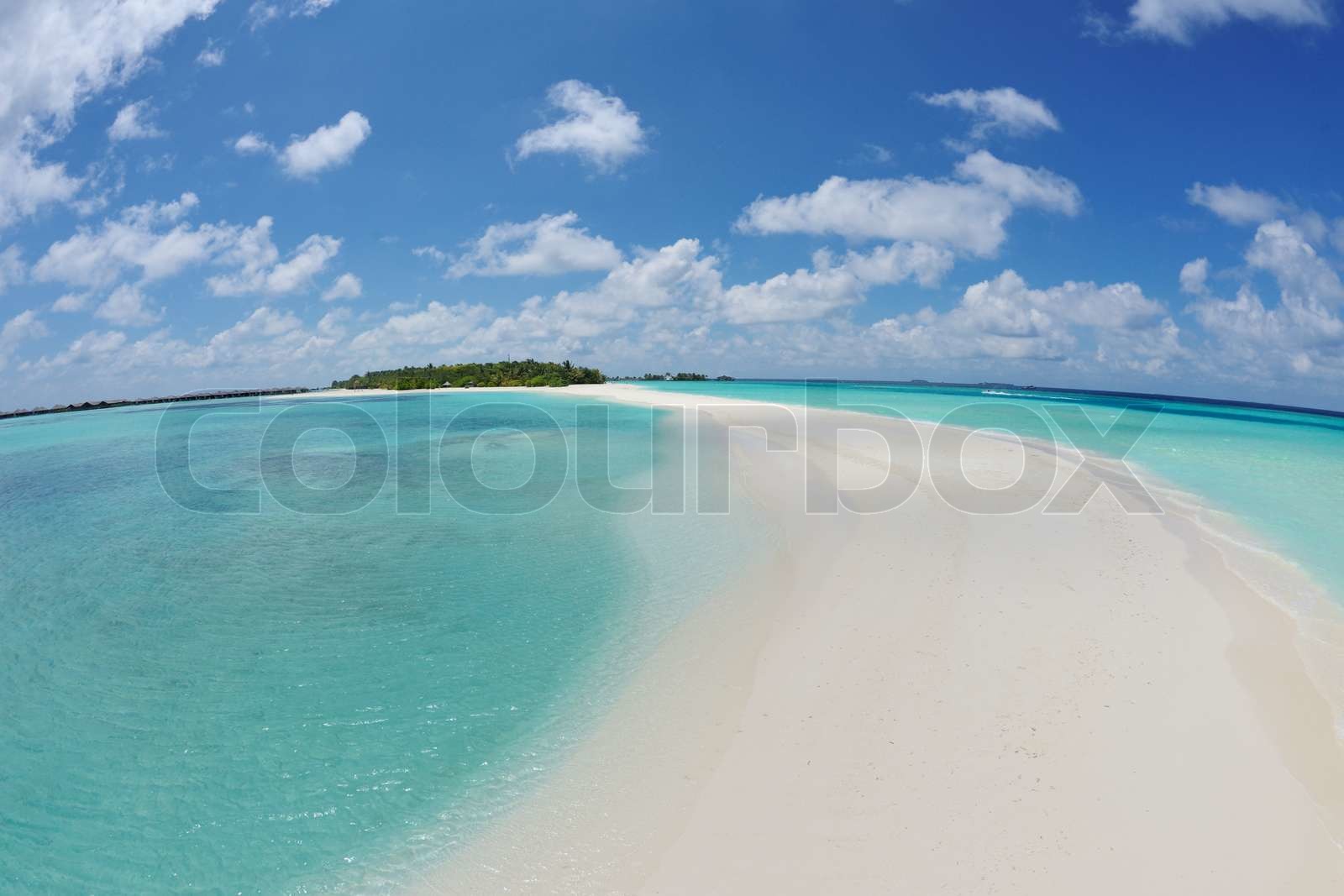 tropical beach | Stock image | Colourbox