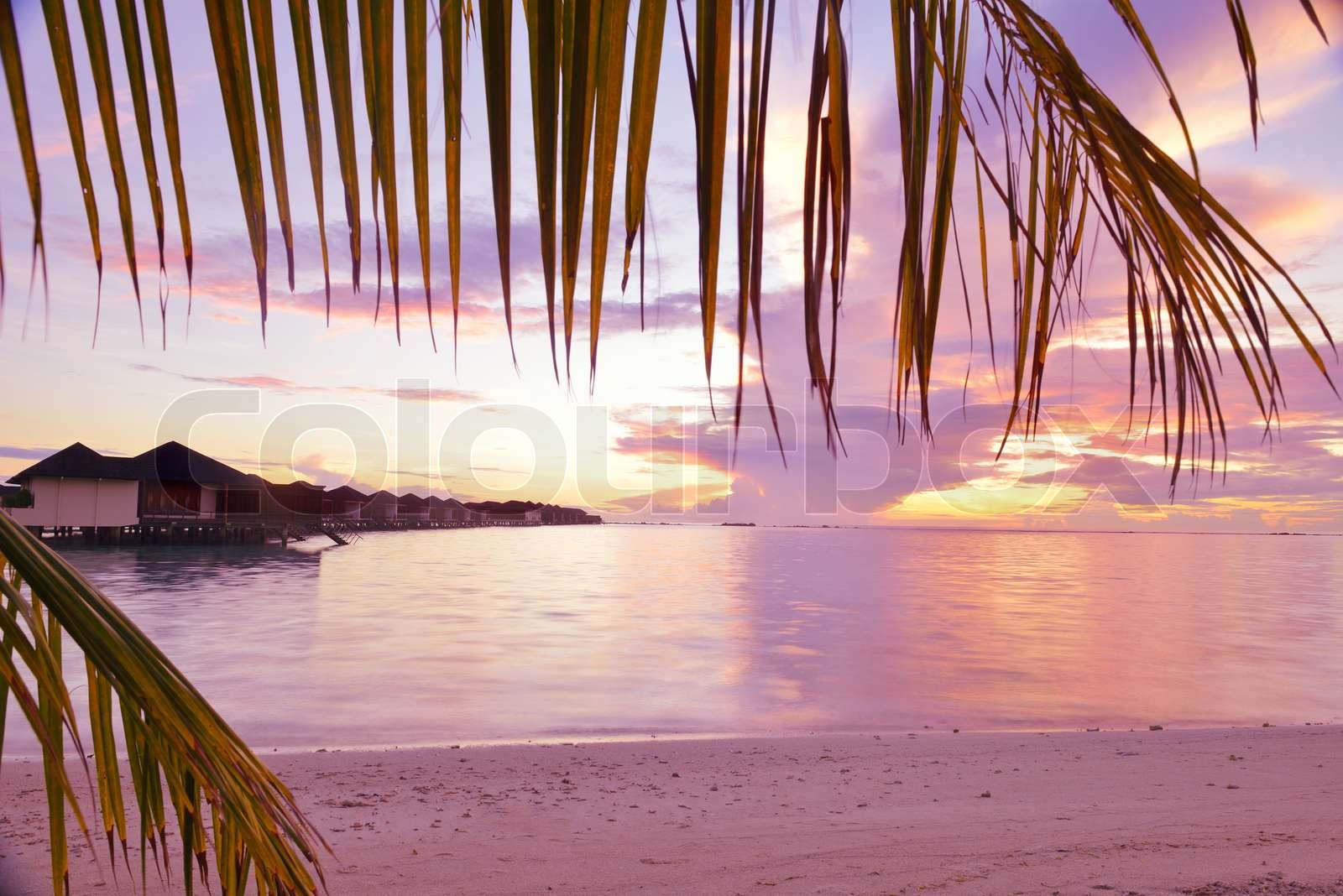 tropical beach | Stock image | Colourbox