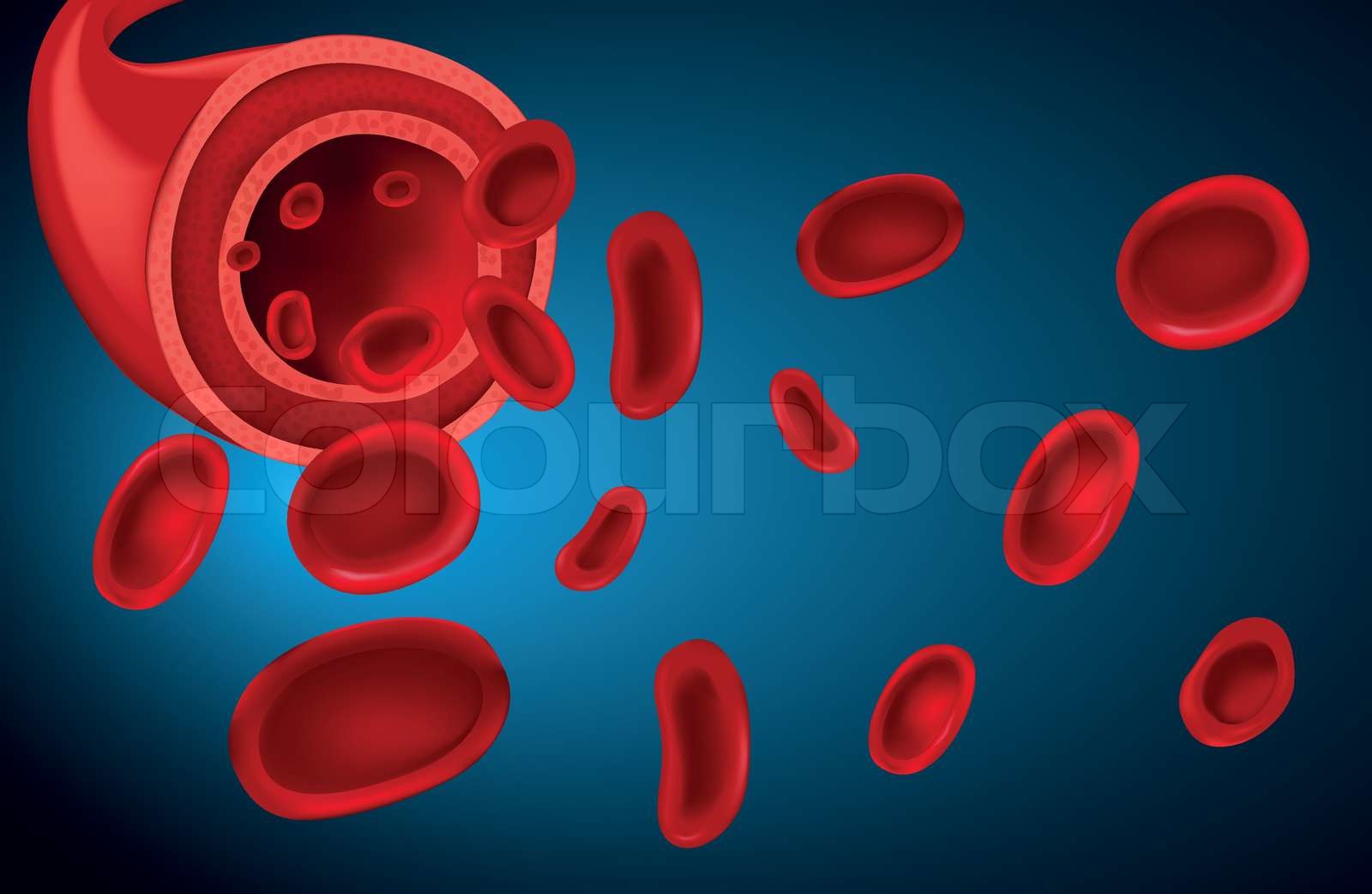 blodd | Stock vector | Colourbox