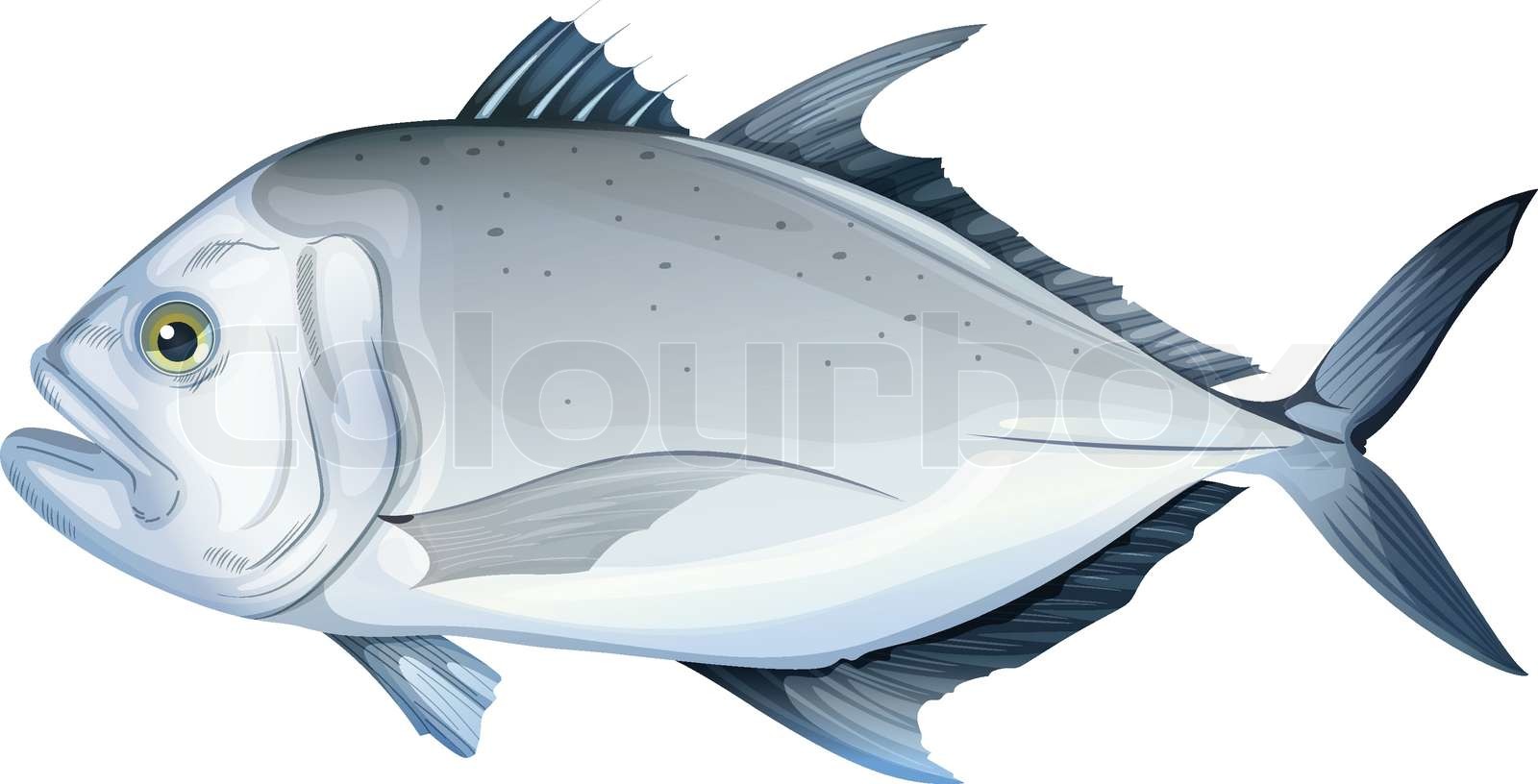 Giant trevally | Stock vector | Colourbox