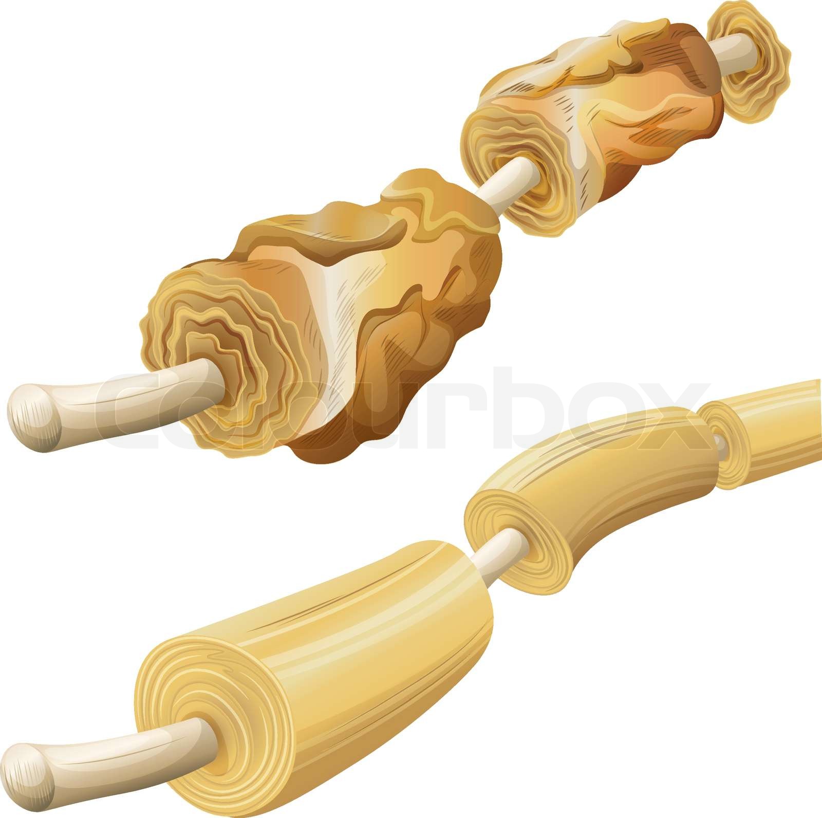 Damaged and healthy myelin sheaths | Stock vector | Colourbox