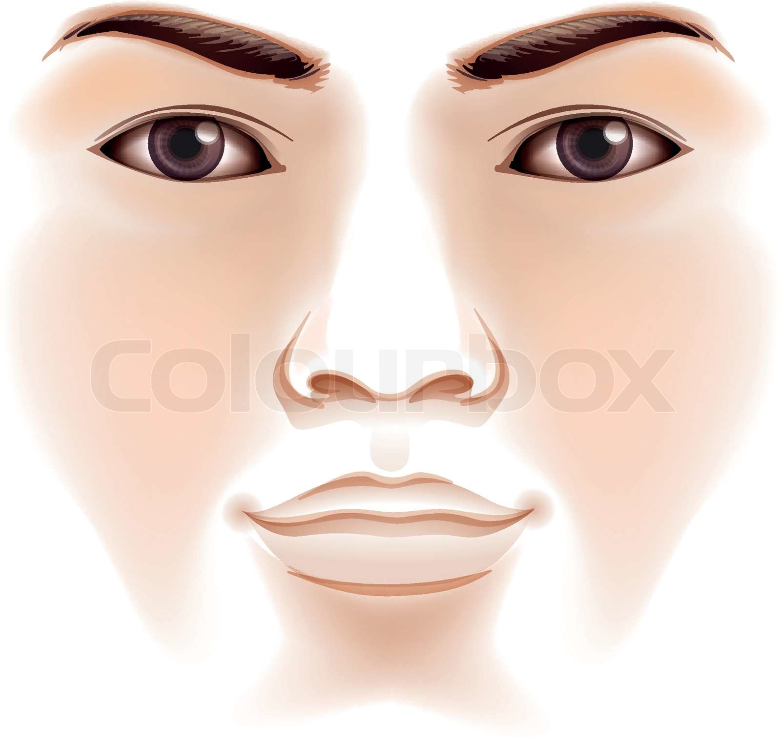 Human face | Stock vector | Colourbox