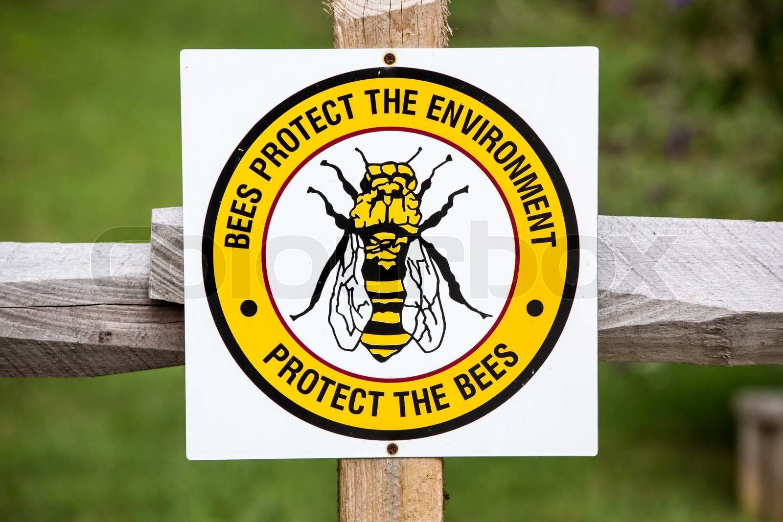 Sign: "Protect the bees" | Stock image | Colourbox