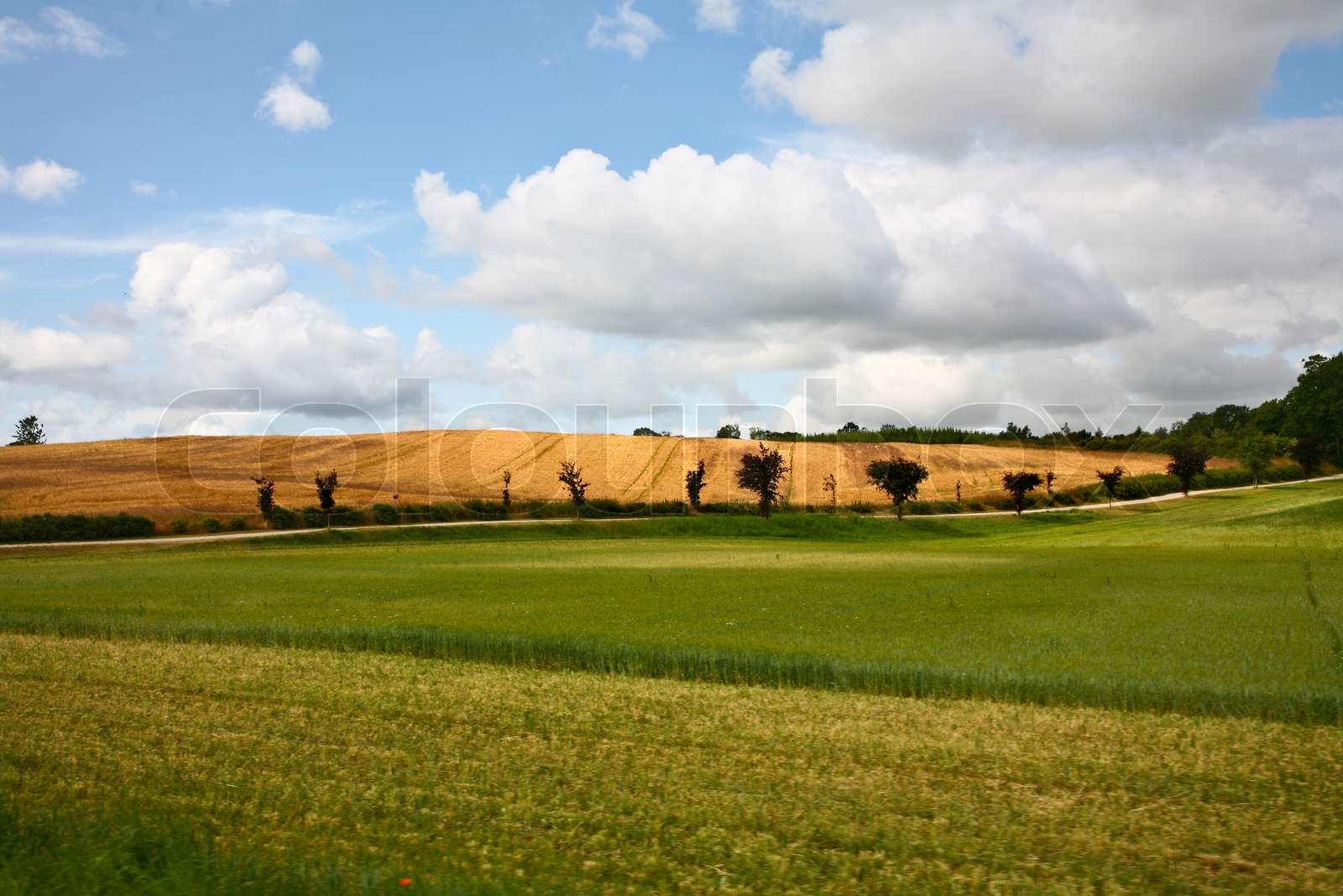 Landscape in Denmark | Stock image | Colourbox