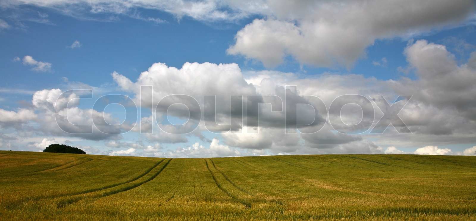 Landscape in Denmark | Stock image | Colourbox