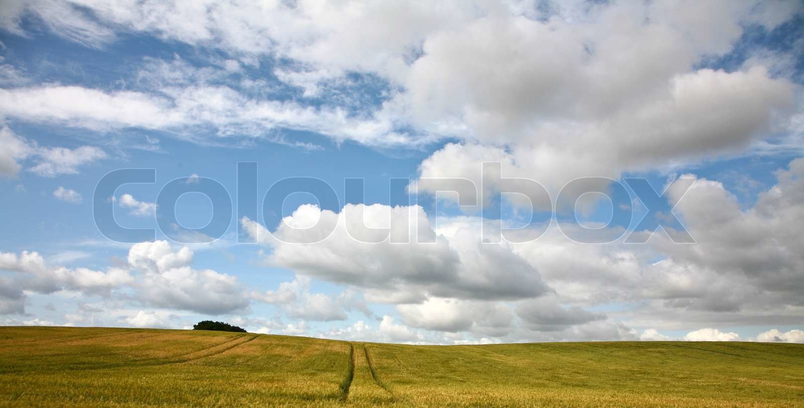 Landscape in Denmark | Stock image | Colourbox