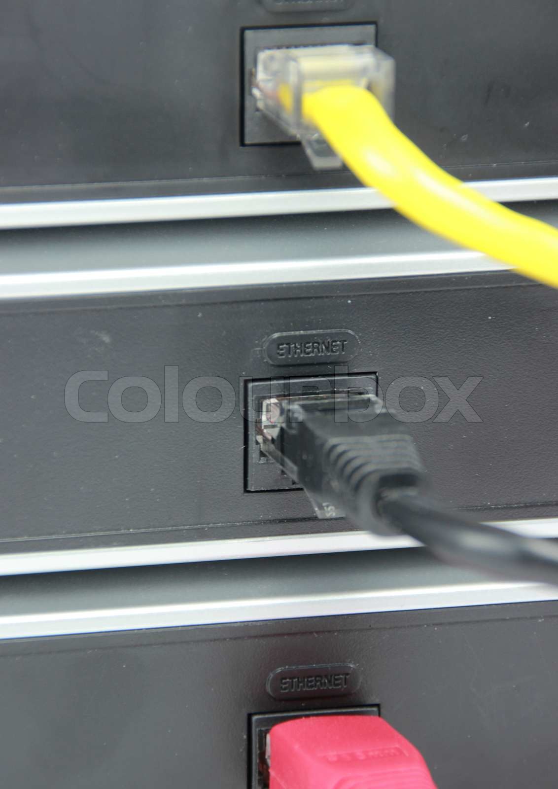 Cables connected to internet port on router | Stock image | Colourbox