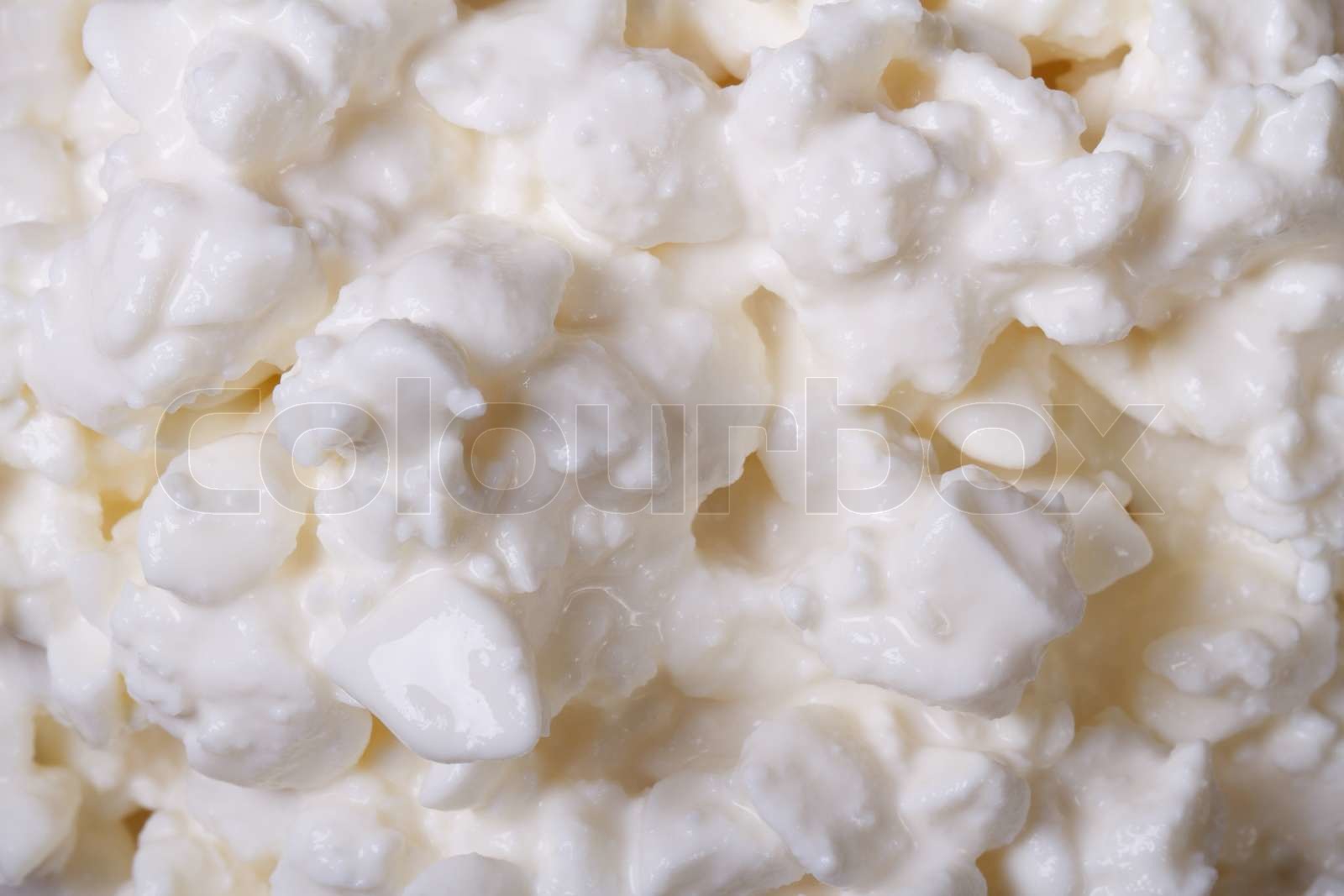 white cottage cheese texture closeup. | Stock image | Colourbox