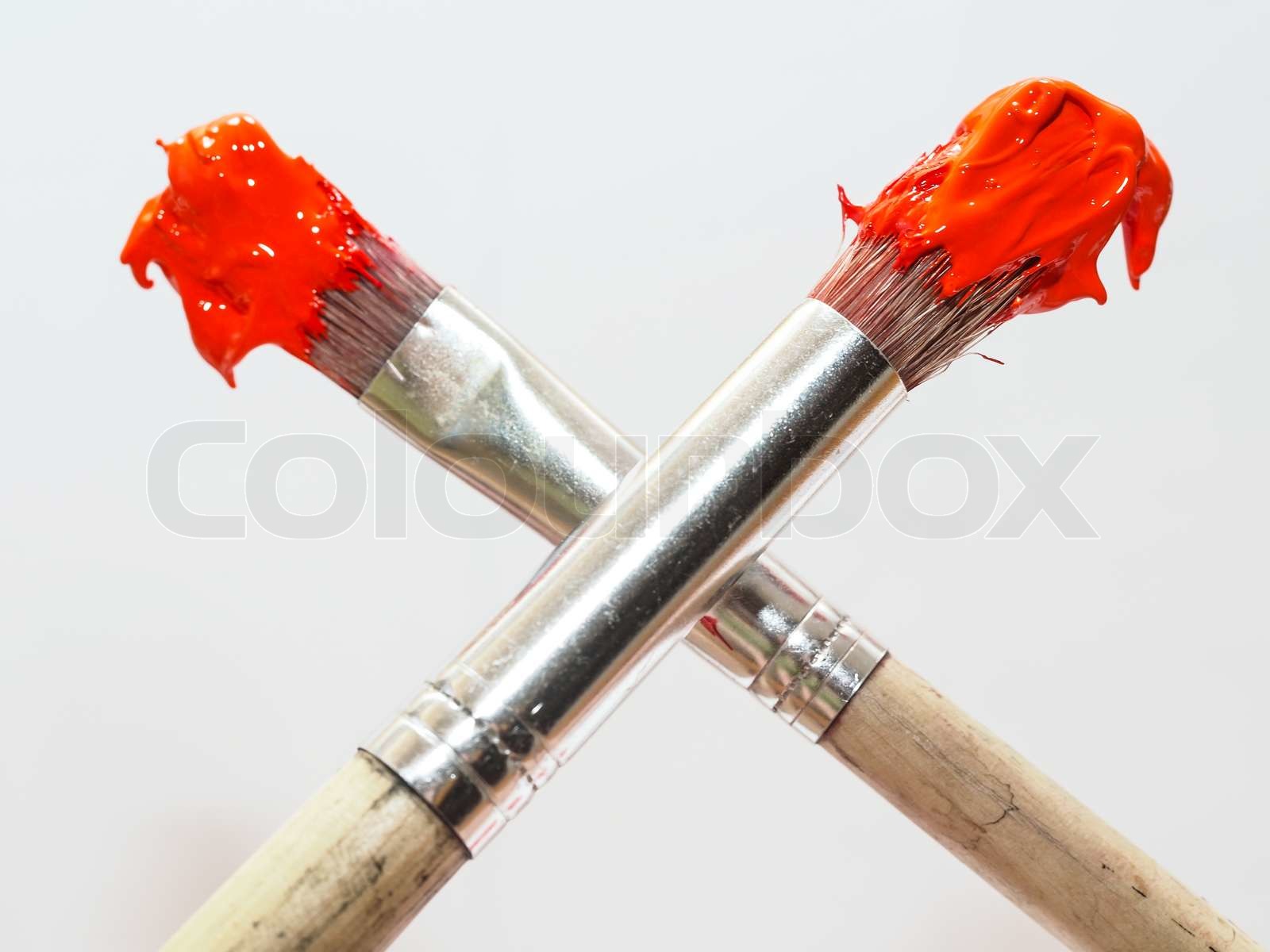 Two paintbrushes | Stock image | Colourbox