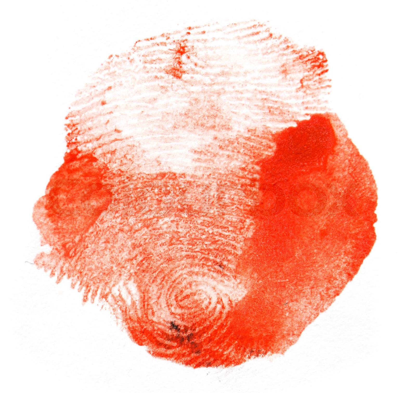 red fingerprint. macro | Stock image | Colourbox