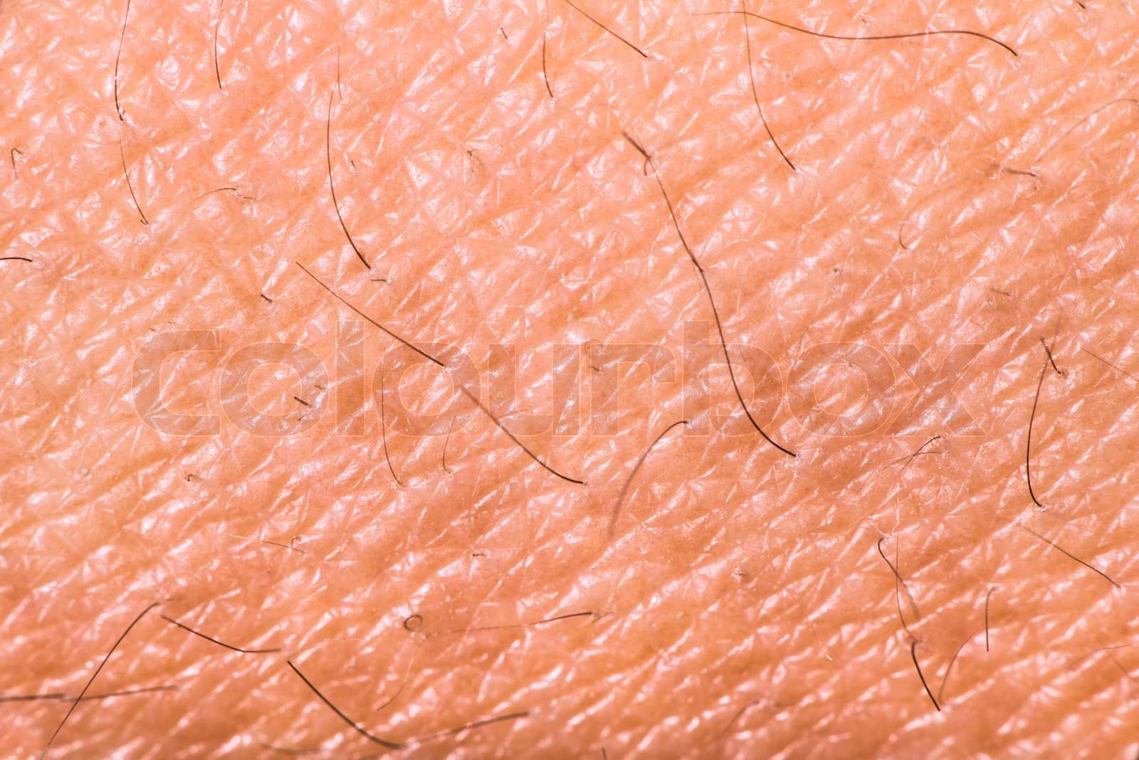 Texture of human skin | Stock image | Colourbox