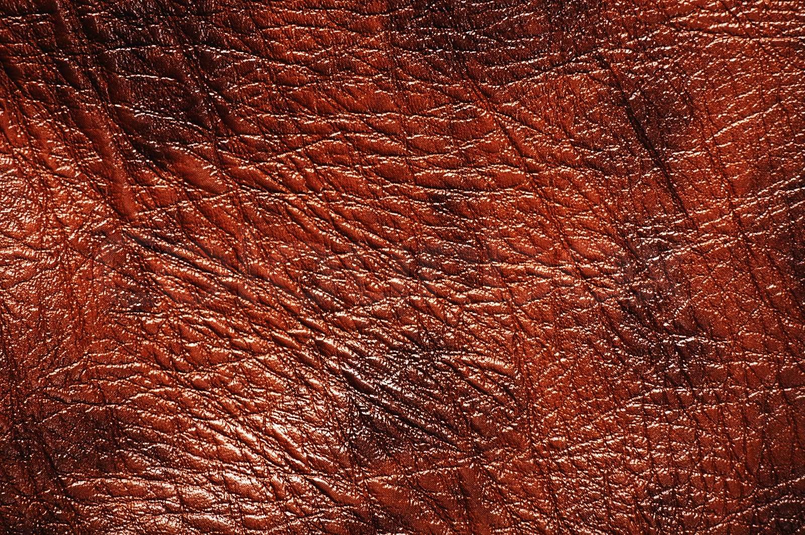 brown leather texture | Stock image | Colourbox
