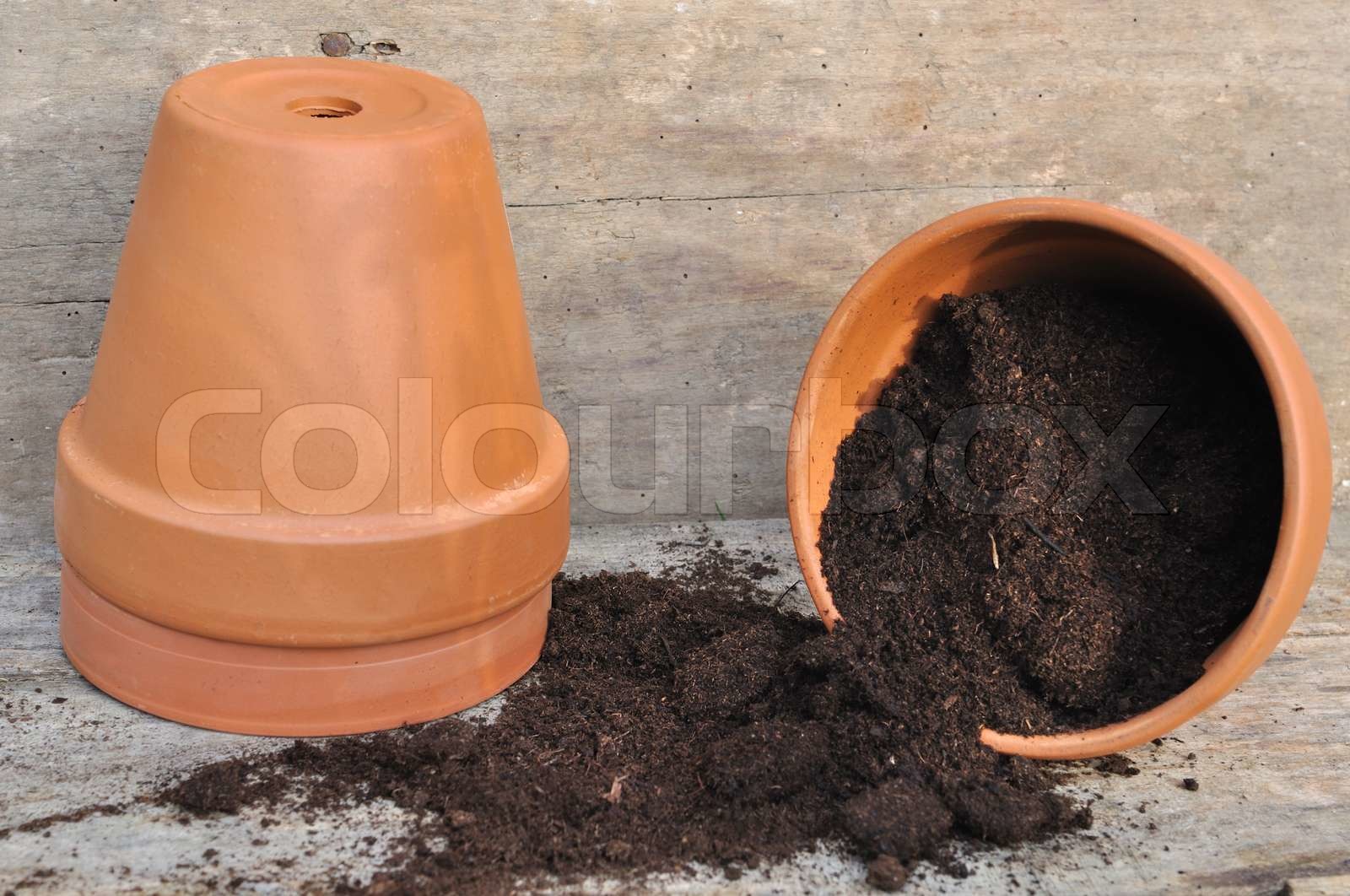 soil in a pot for repotting | Stock image | Colourbox