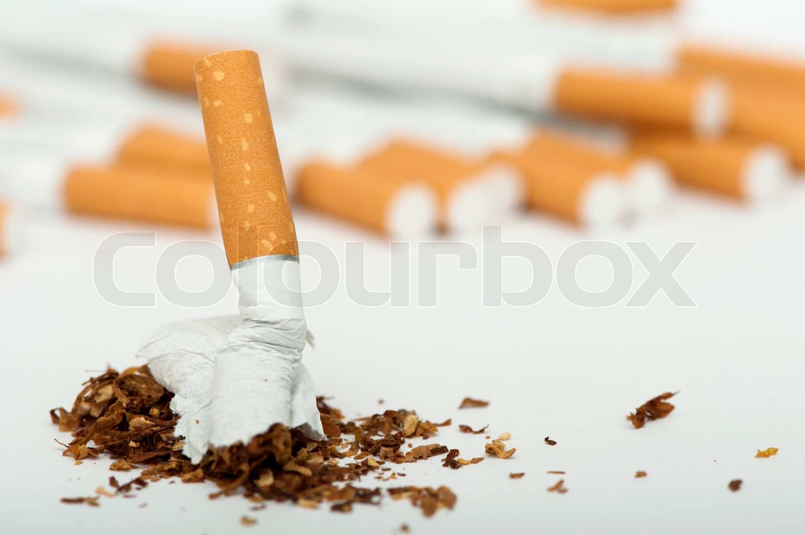 Crumpled cigarette | Stock image | Colourbox