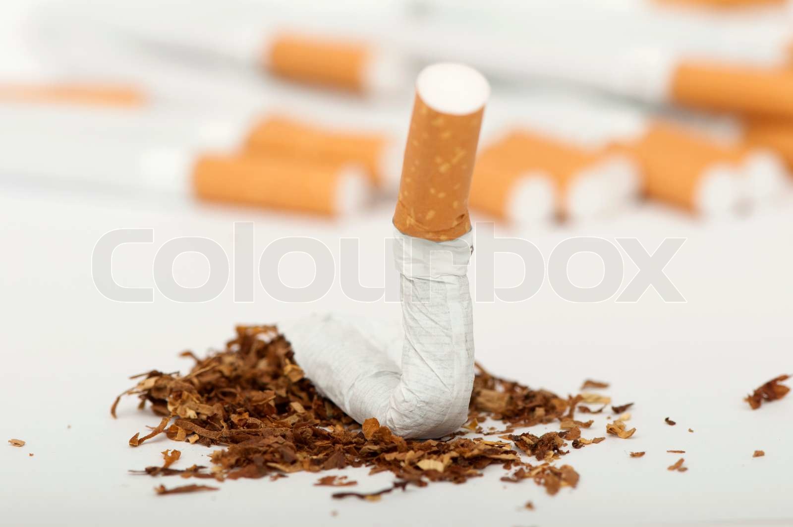 Crumpled cigarette | Stock image | Colourbox