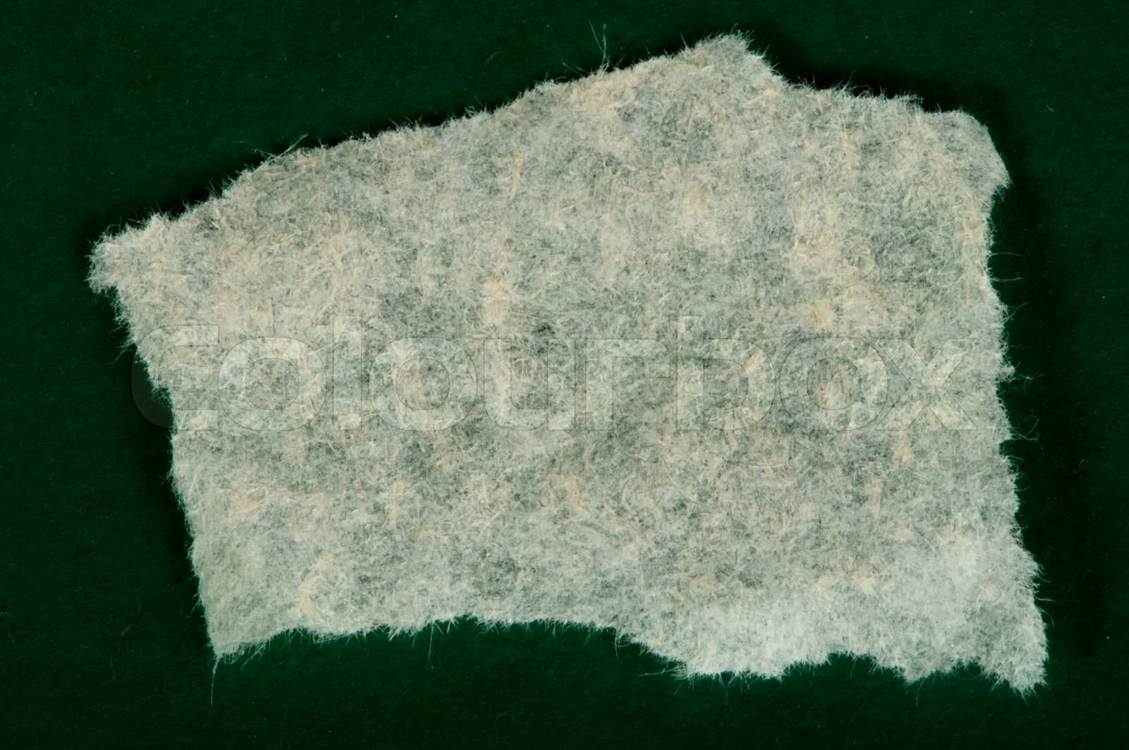 White torn paper | Stock image | Colourbox