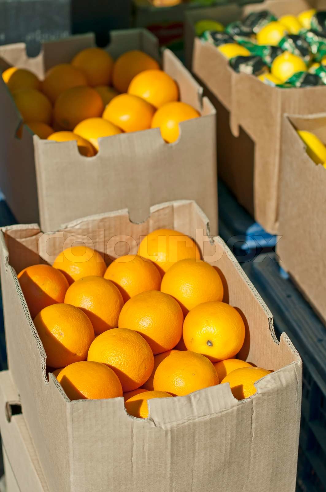 Oranges in boxes | Stock image | Colourbox