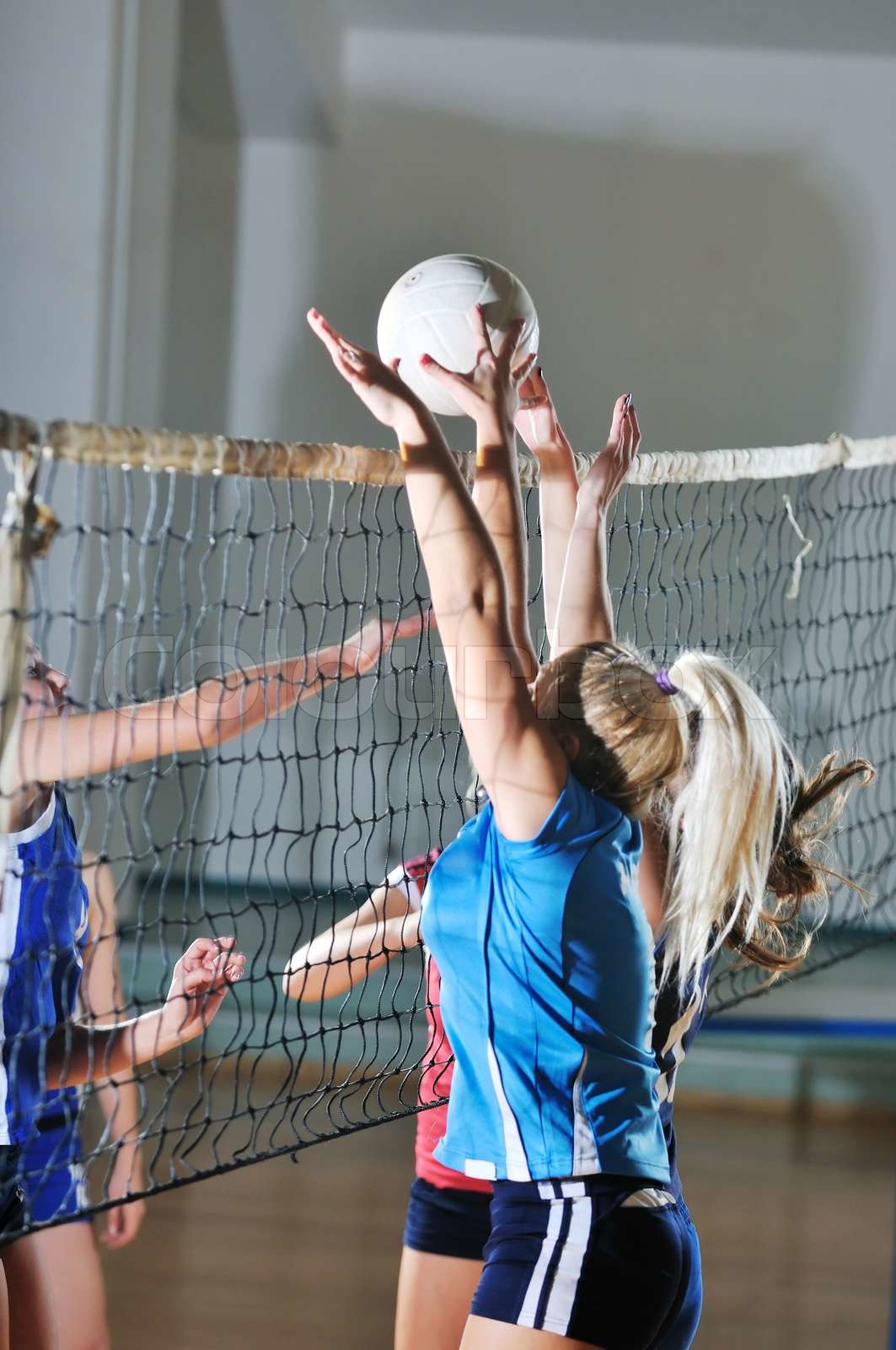 volleyball | Stock image | Colourbox