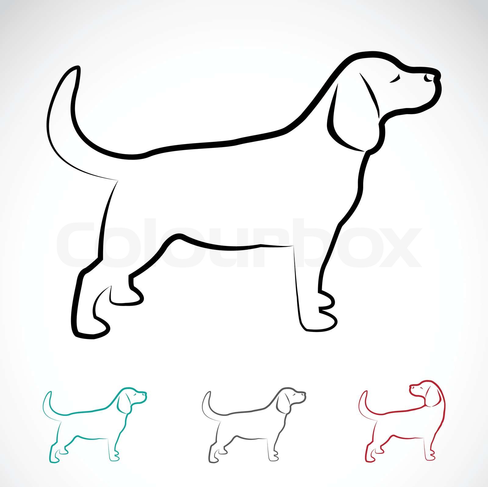 Dog Profile Drawing