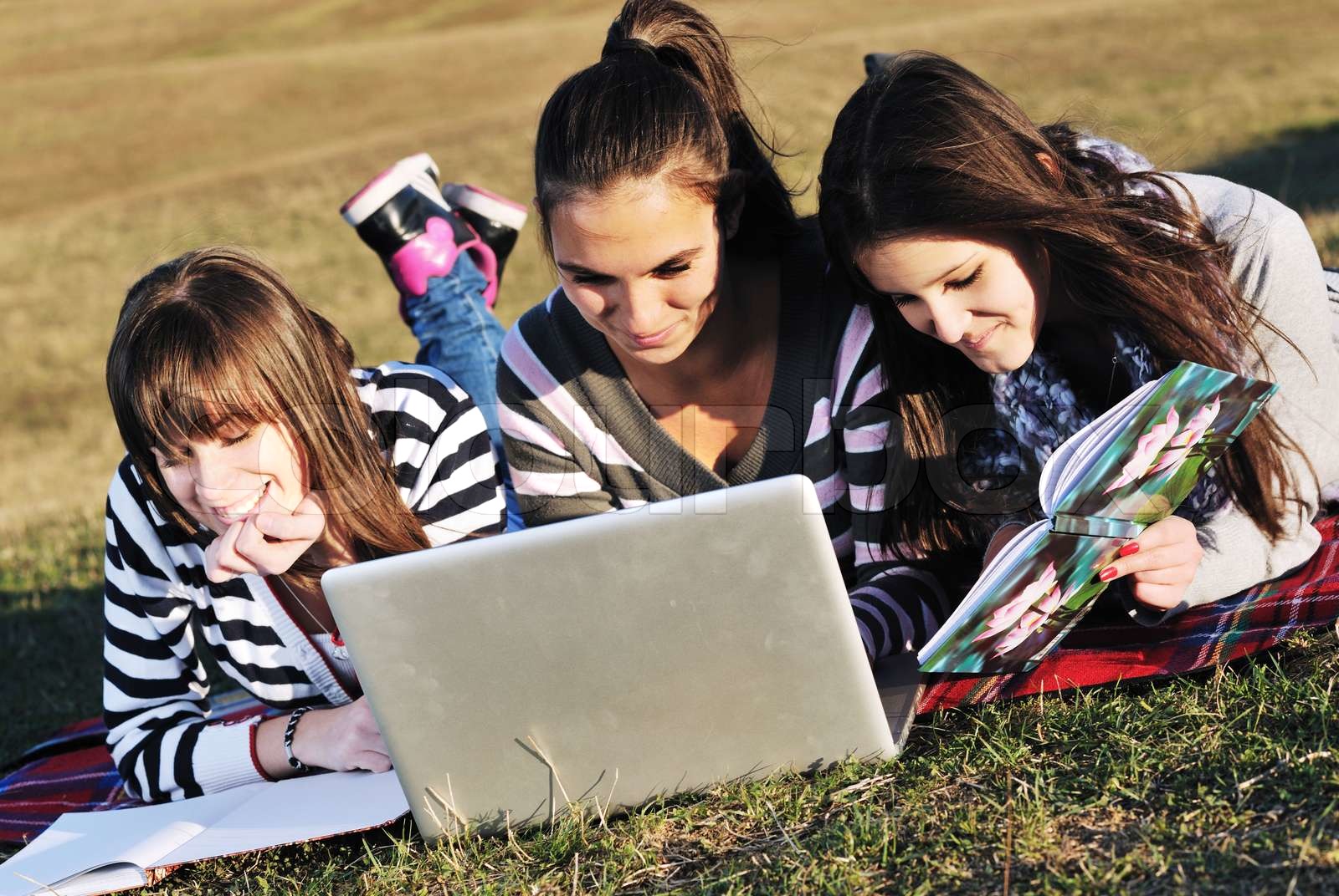 group of teens working on laptop outdoor | Stock image | Colourbox