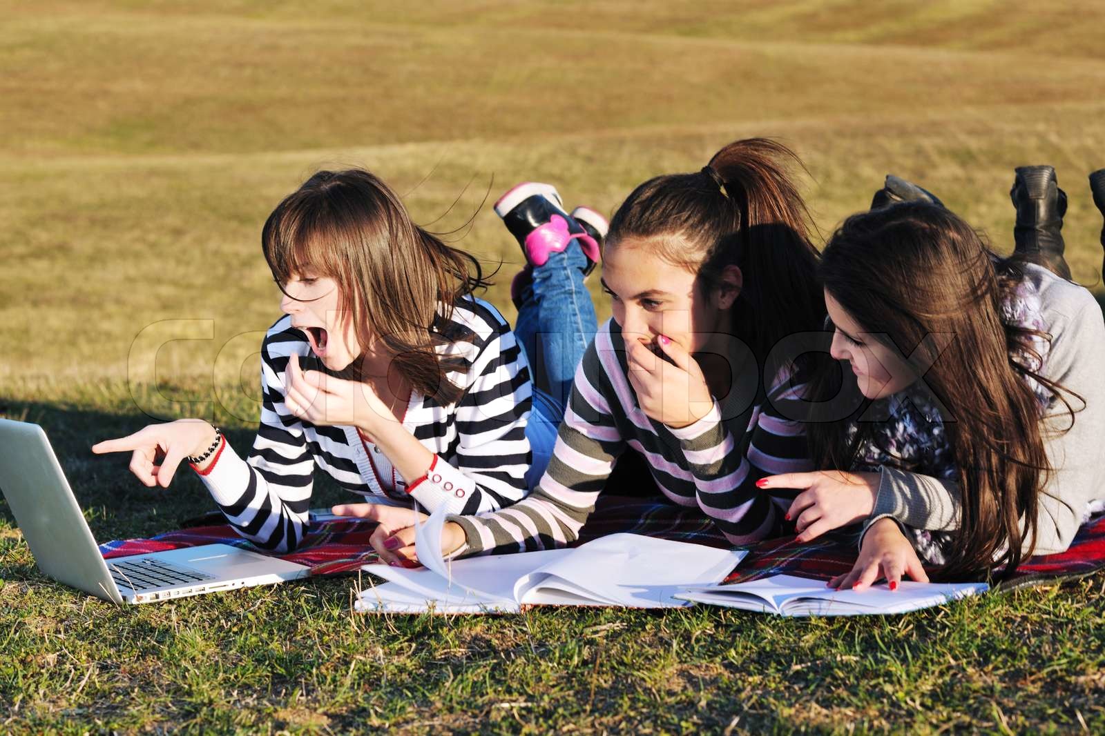 group of teens working on laptop outdoor | Stock image | Colourbox