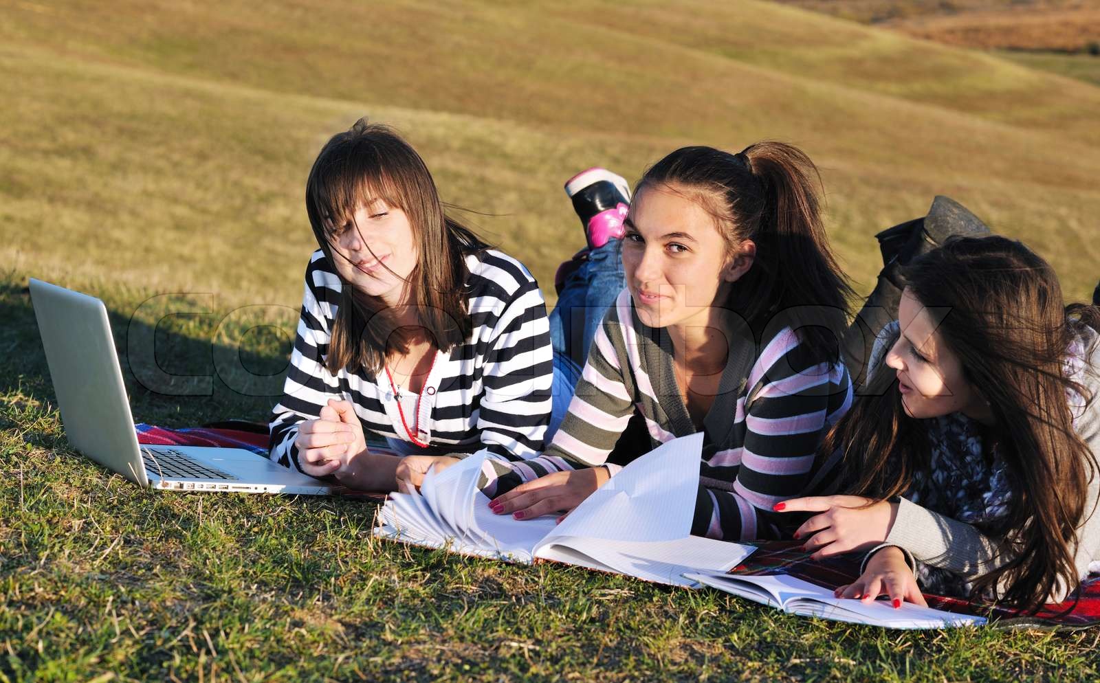 group of teens working on laptop outdoor | Stock image | Colourbox