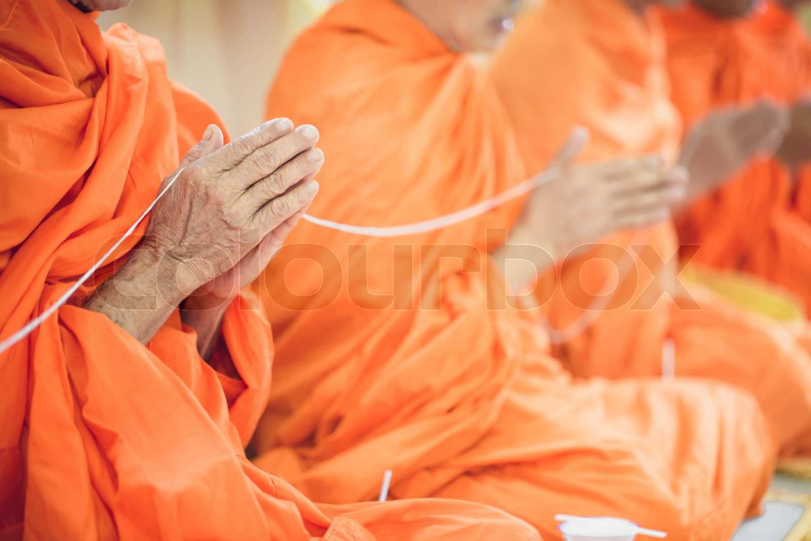 Monk hands for prayer | Stock image | Colourbox