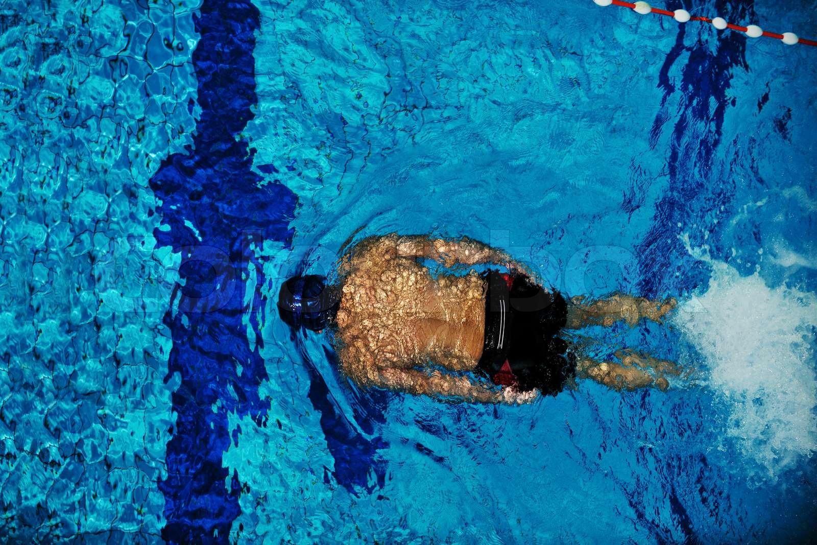 swimming start | Stock image | Colourbox