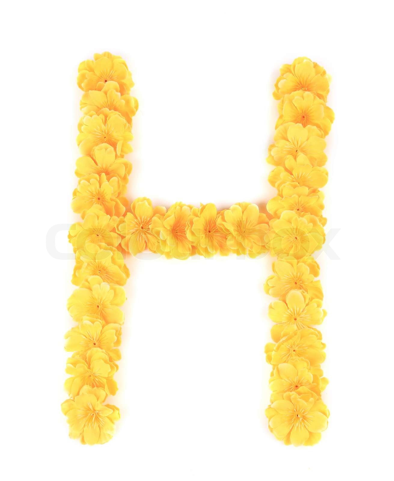Letter H flower alphabet. | Stock image | Colourbox