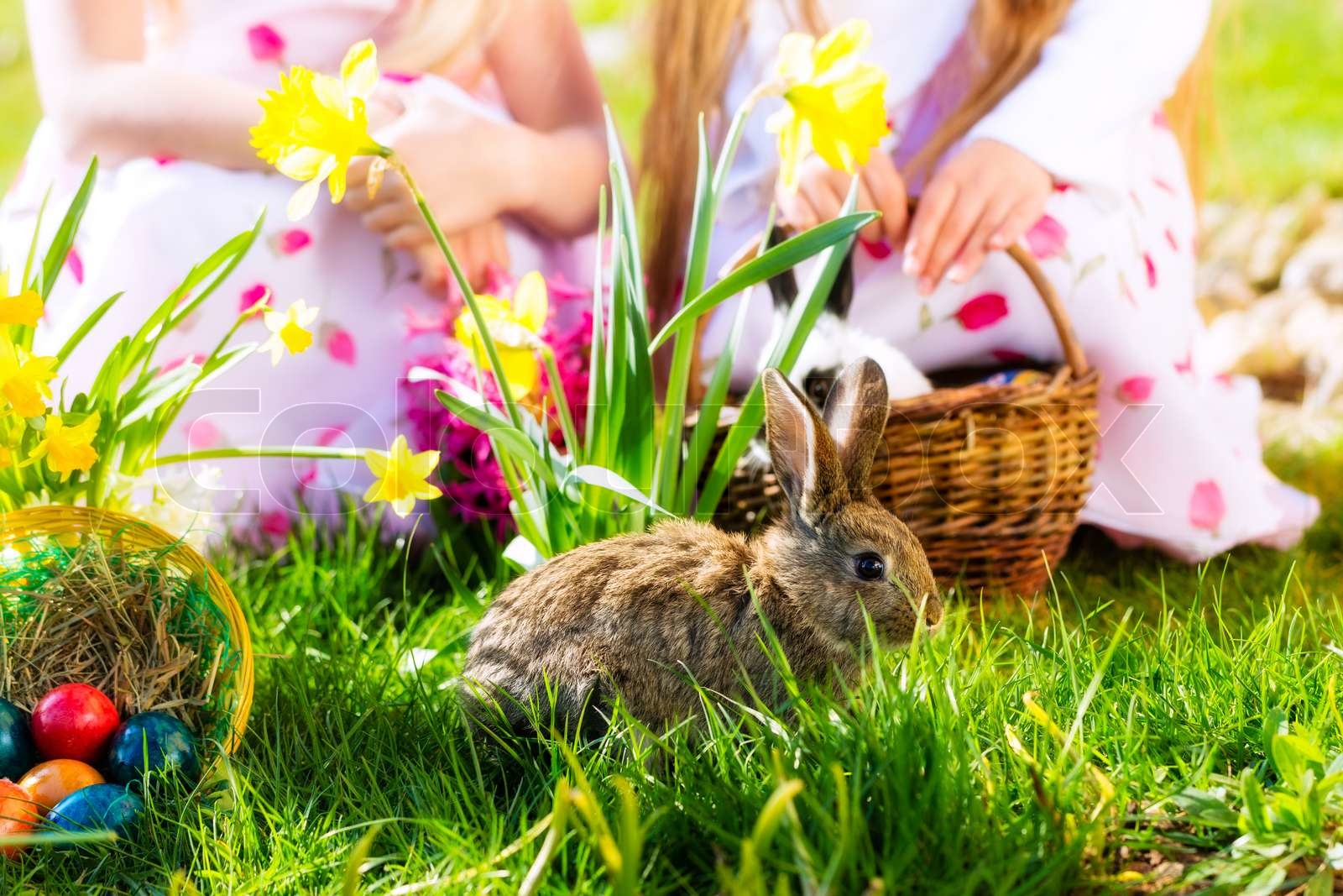 Children on Easter egg hunt with bunny | Stock image | Colourbox