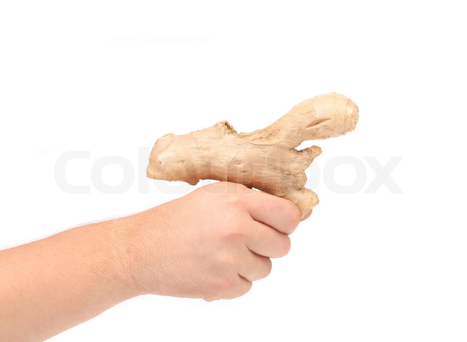 ginger root in hand | Stock image | Colourbox