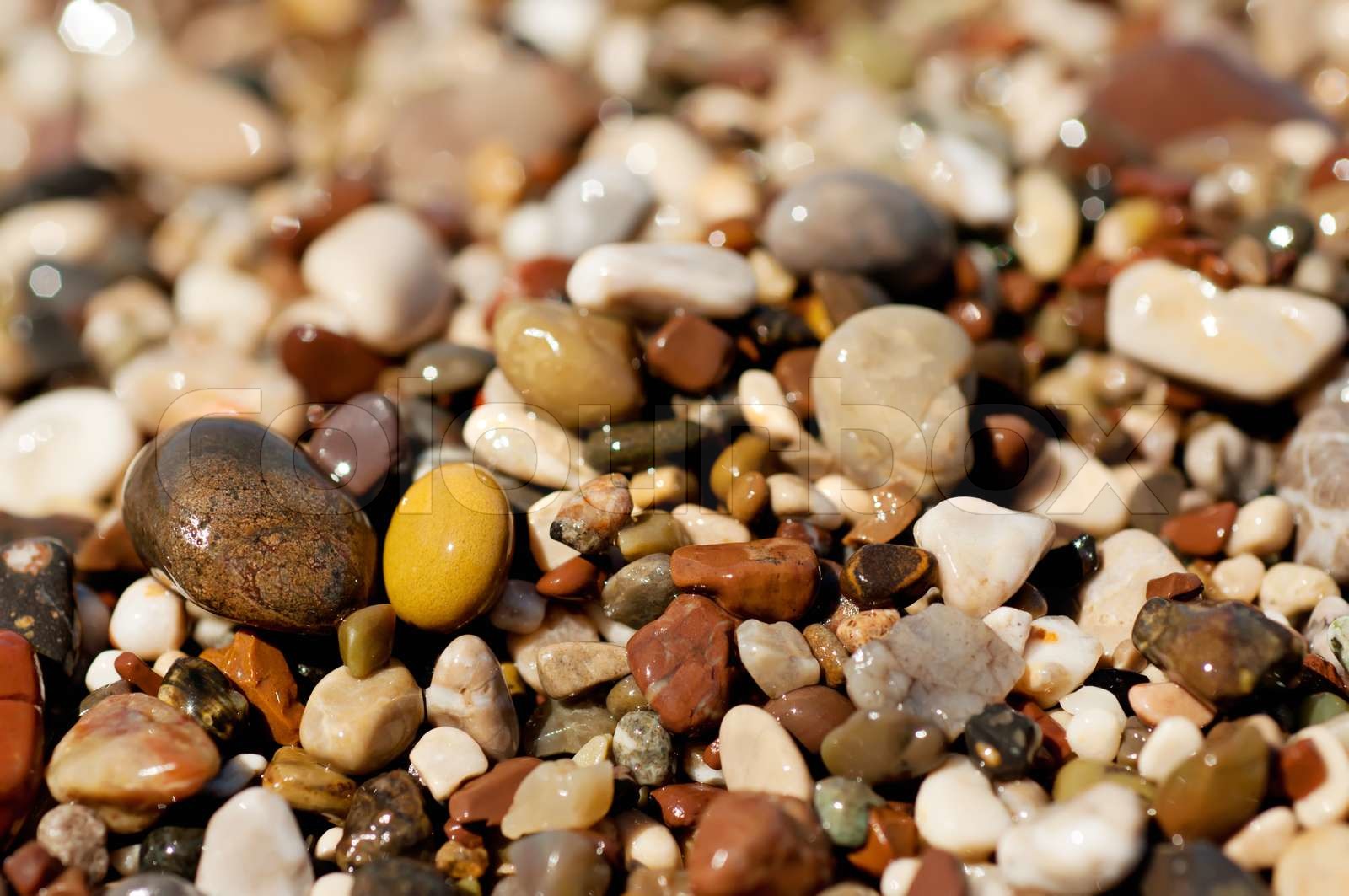 Sea pebble | Stock image | Colourbox